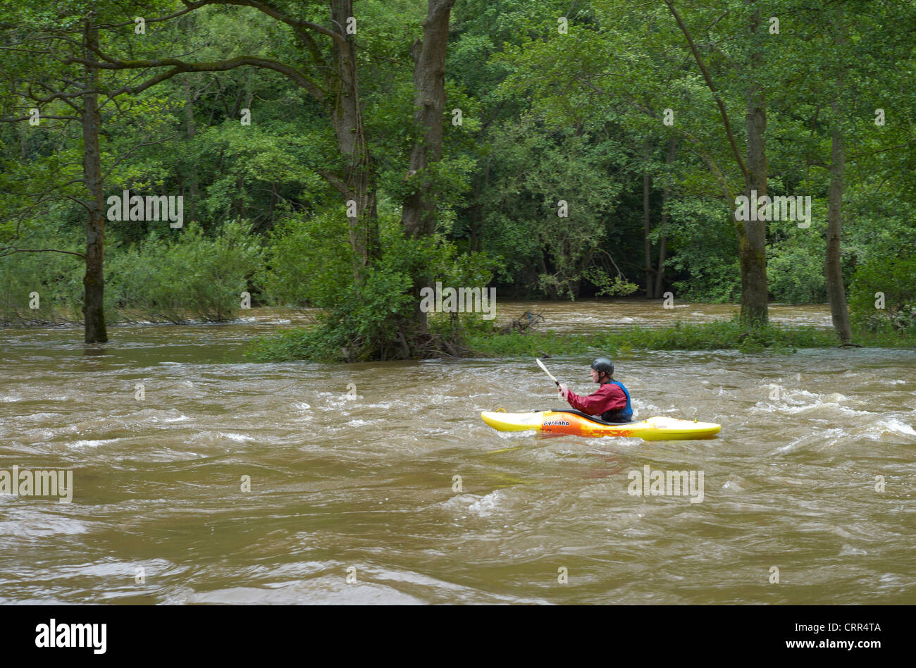 Kayak canoeists on the rivey Wye rapids while river is in flood or ...