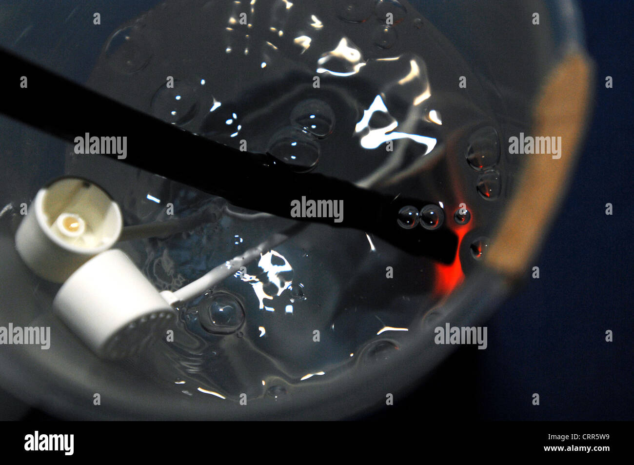 The endoscopic probe is washed after use Stock Photo - Alamy