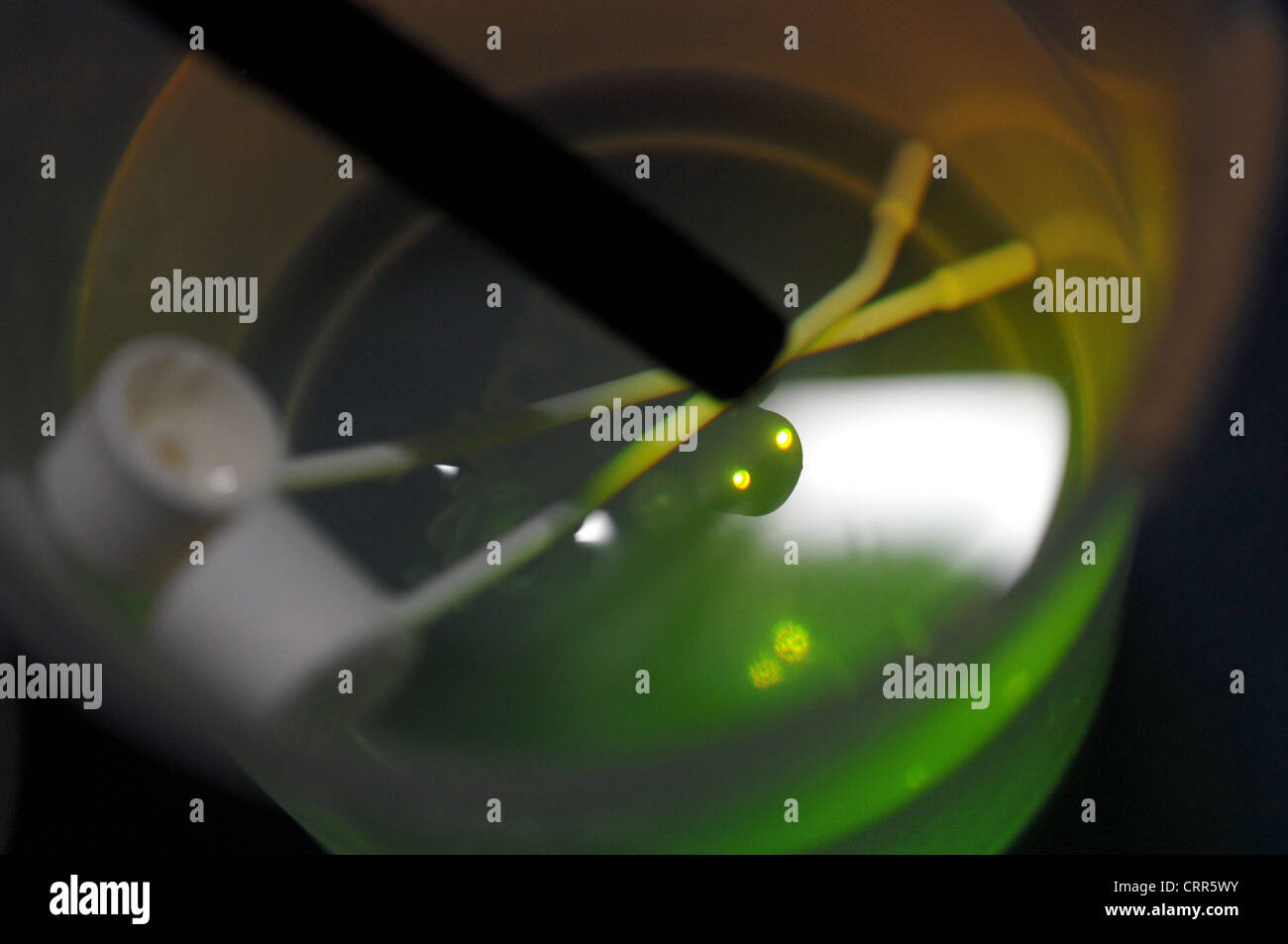 Endoscopic probe hi-res stock photography and images - Alamy