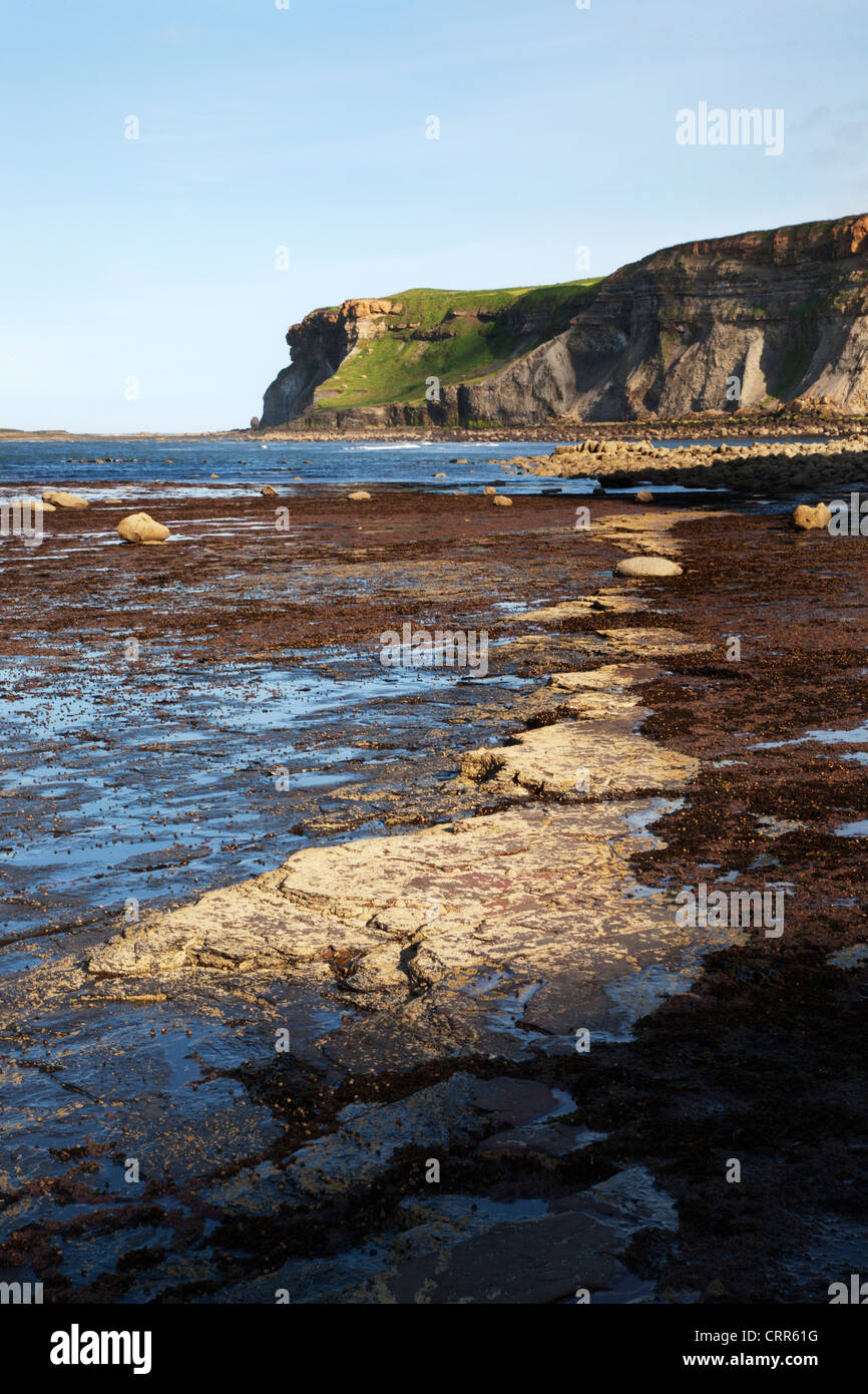Saltwick Bay near Whitby North Yorkshire England Stock Photo - Alamy