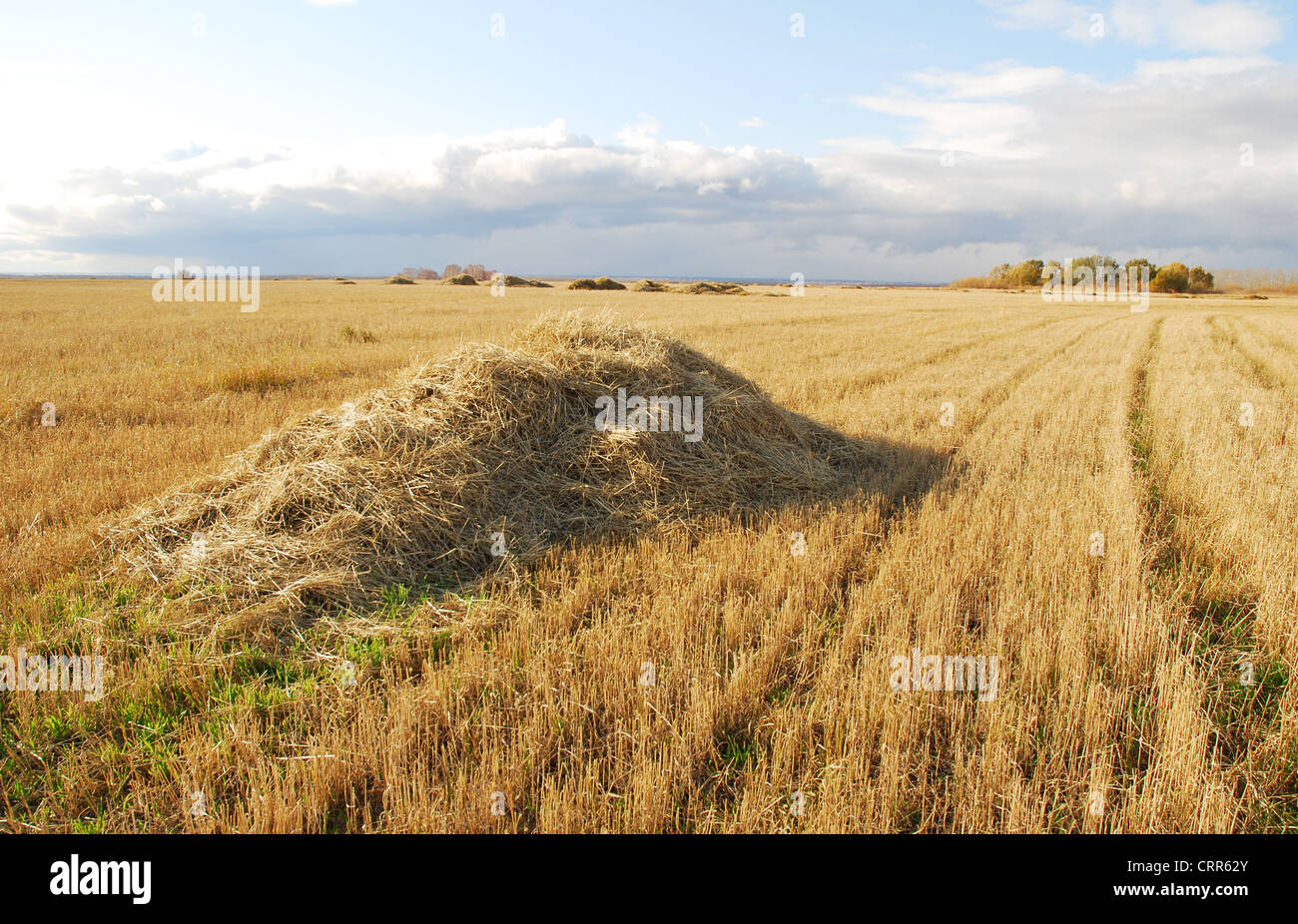 Cropsfarm hi-res stock photography and images - Alamy