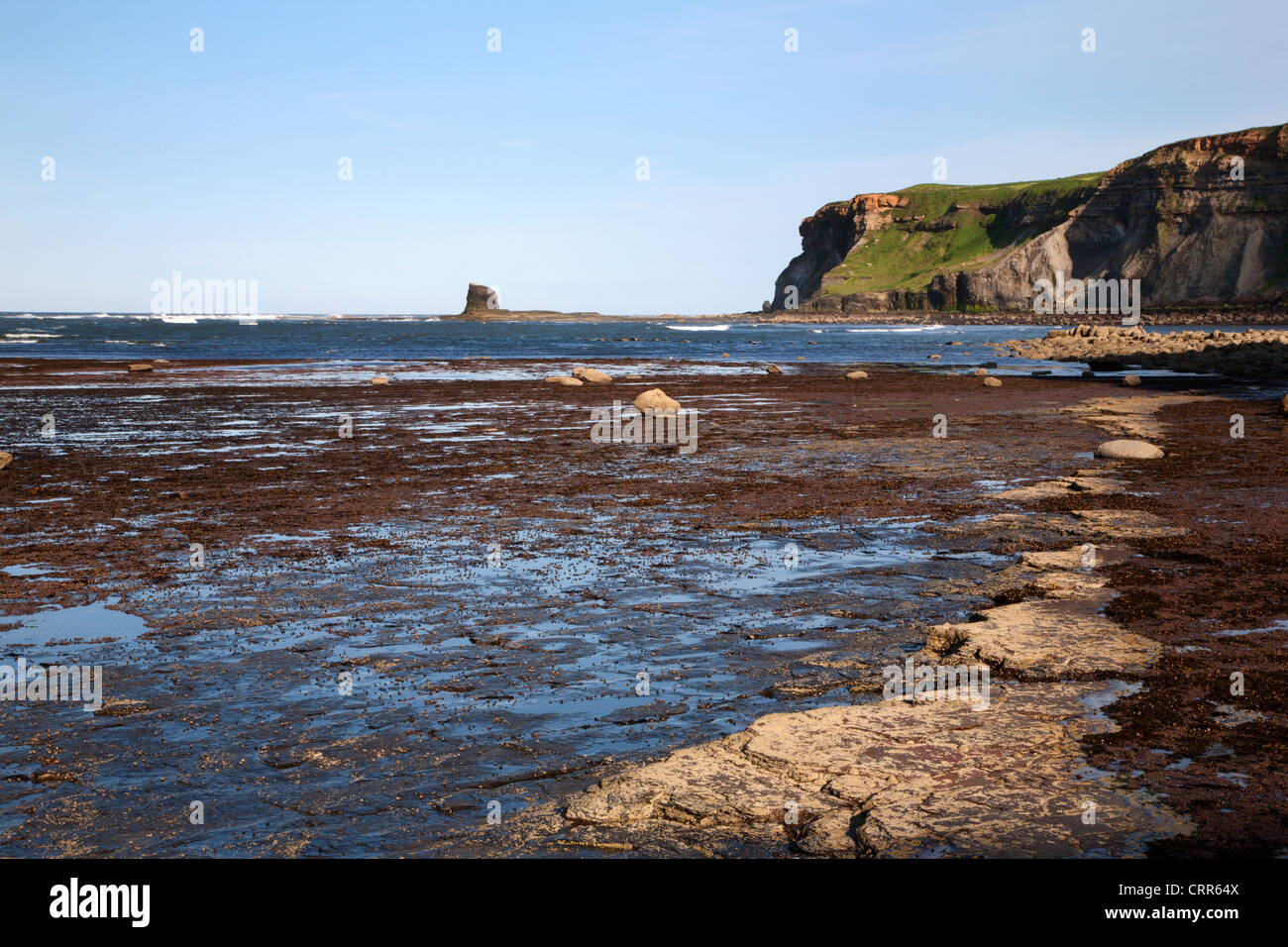 Saltwick Bay near Whitby North Yorkshire England Stock Photo - Alamy