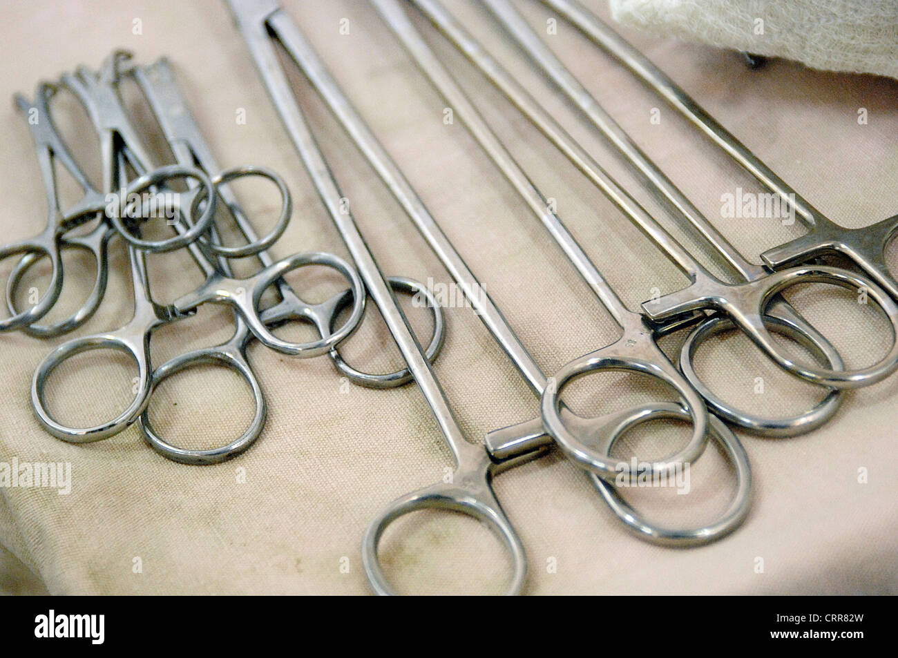 Surgical scissors and forceps on a medical tray, laid out in ...