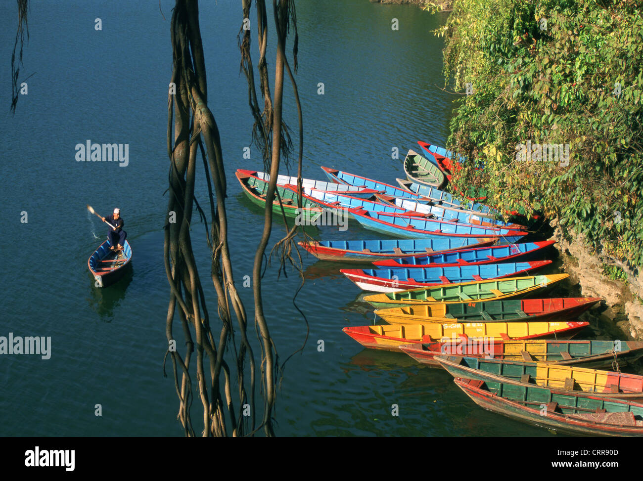 Man boating on a lake ( Nepal Stock Photo - Alamy