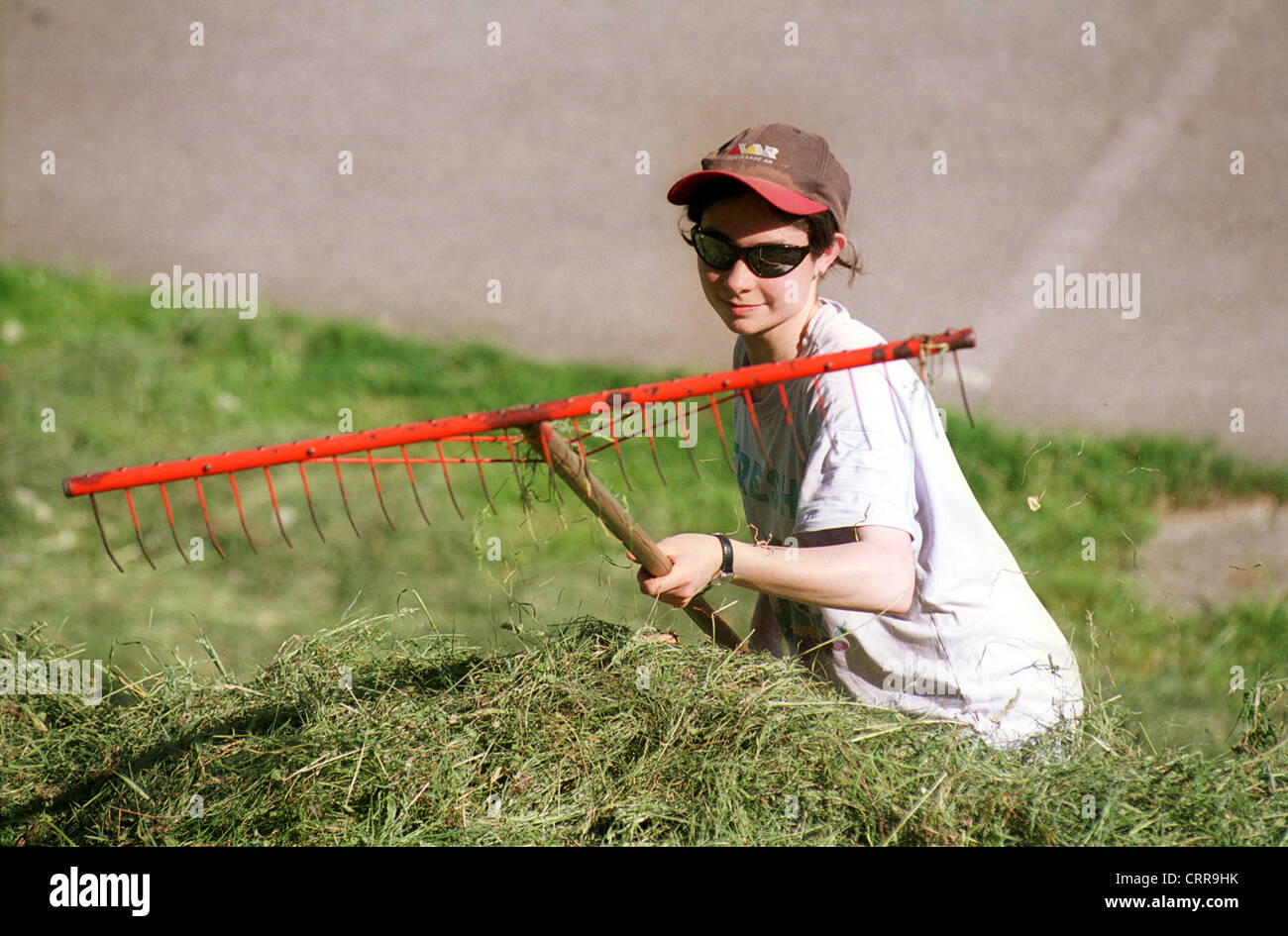 Farmers making hay hi-res stock photography and images - Alamy