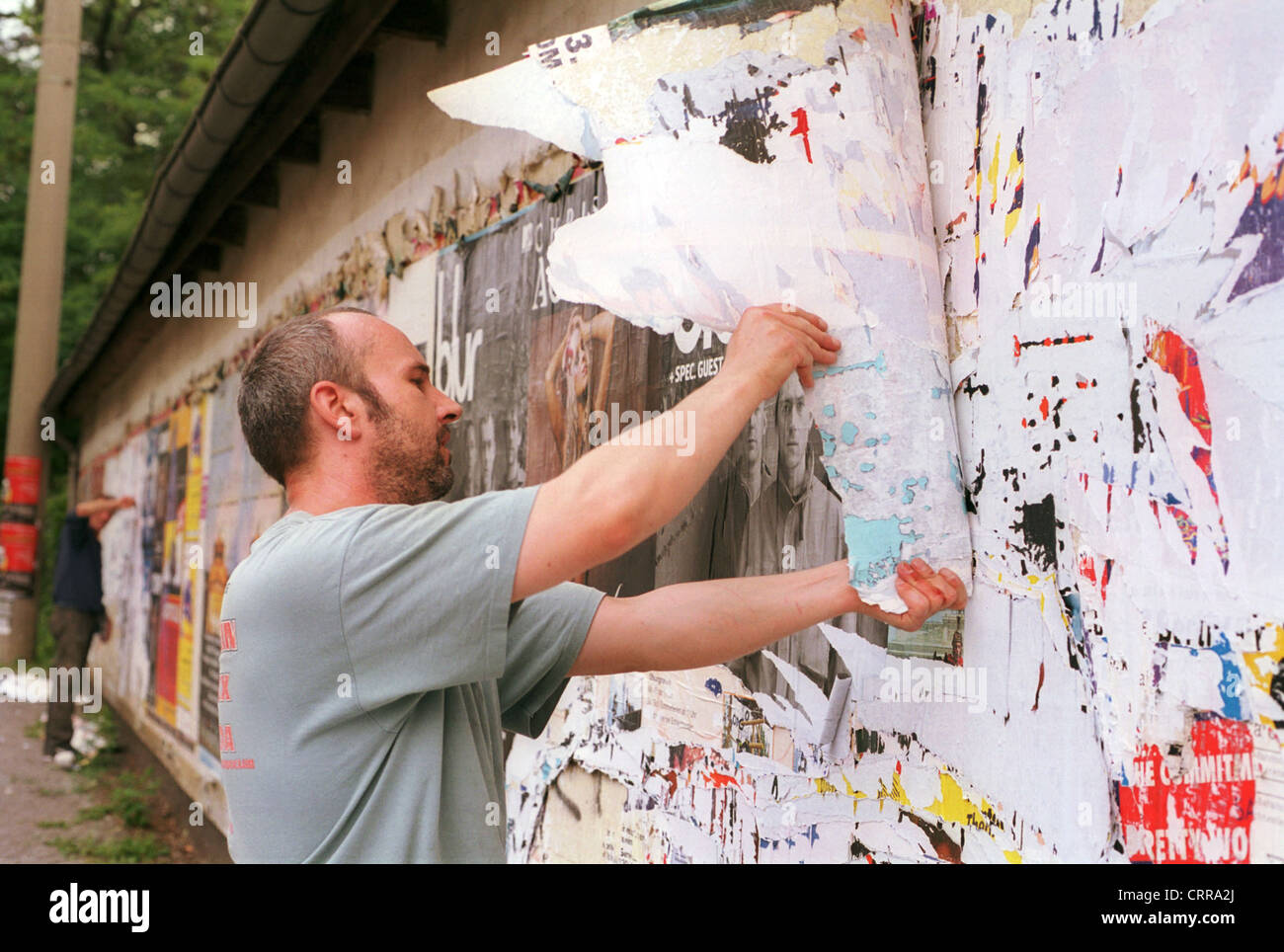 A poster adhesive at work Stock Photo - Alamy