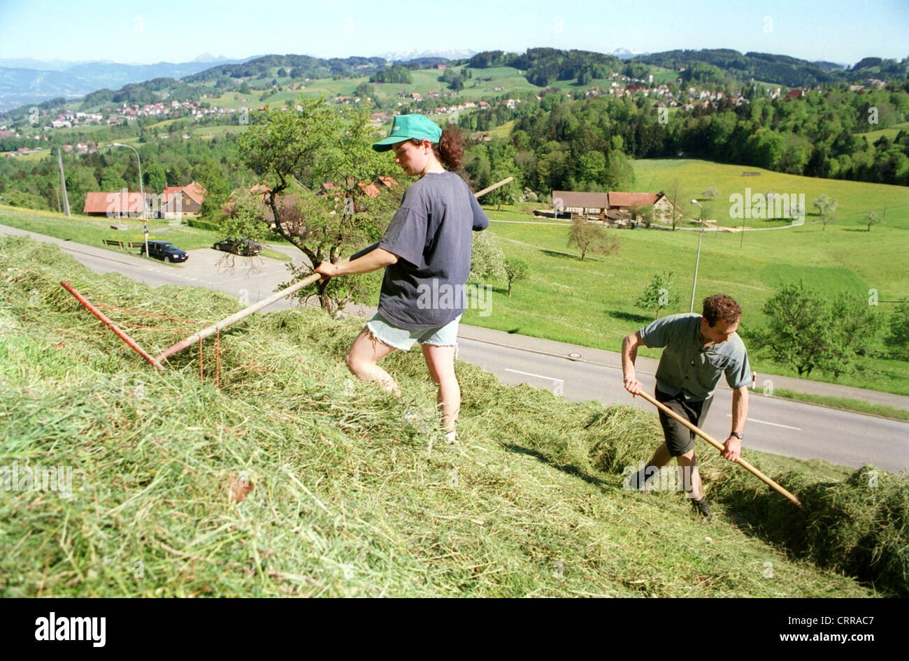 Farmers making hay hi-res stock photography and images - Alamy