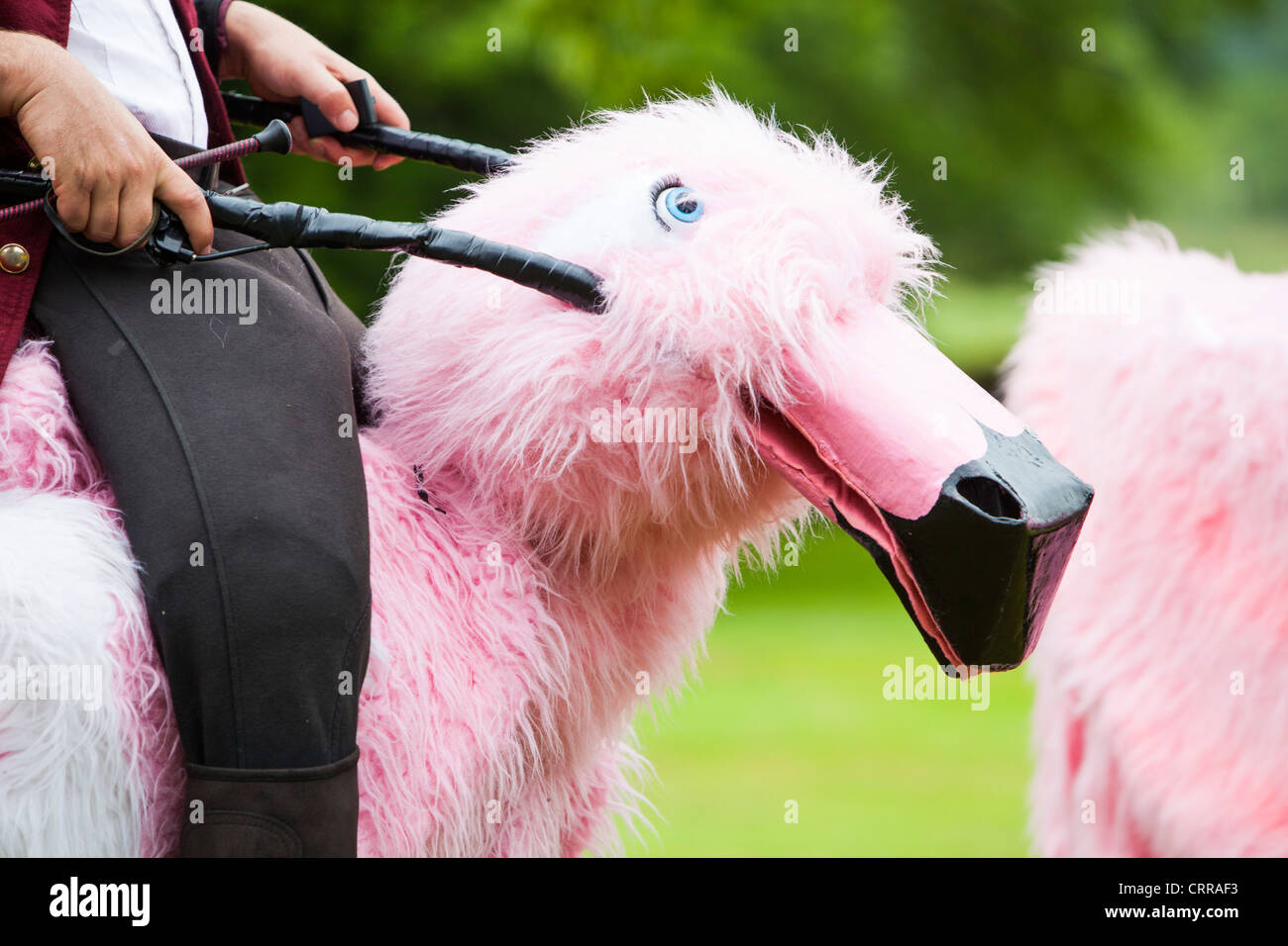 Entertainers wearing pink flamingo costumes at the Ambleside olympic ...