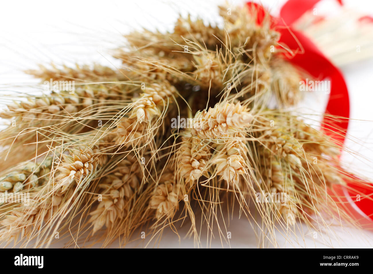 Bouquet of ears of corn hi-res stock photography and images - Alamy