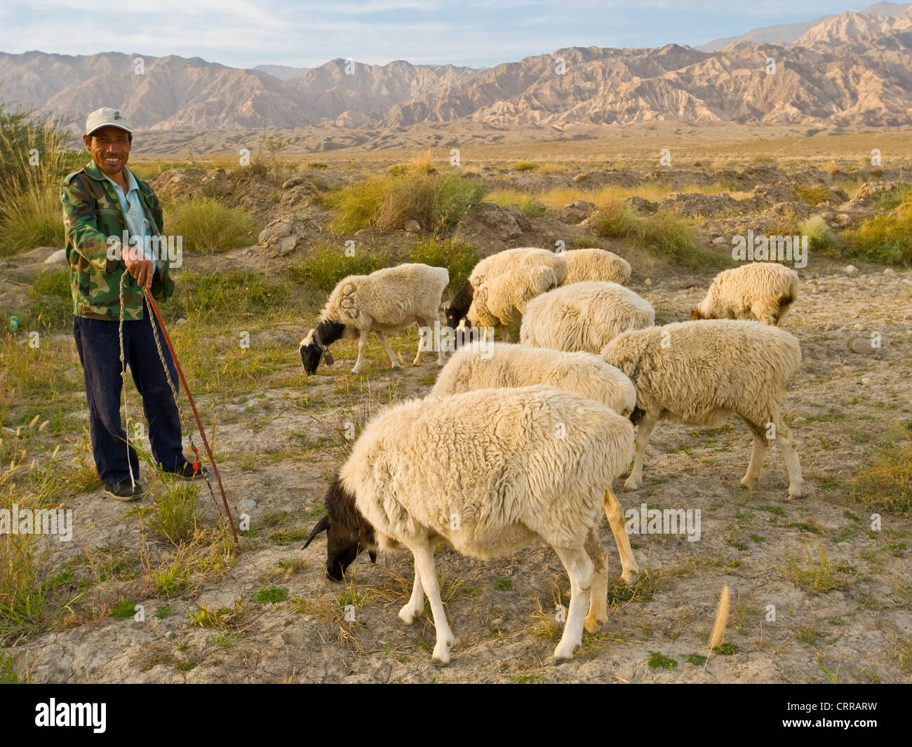 A Uyghur Chinese farmer looking after his sheep poses for the camera ...