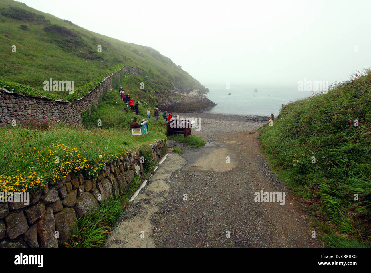 Tourist on Skomer island Stock Photo - Alamy