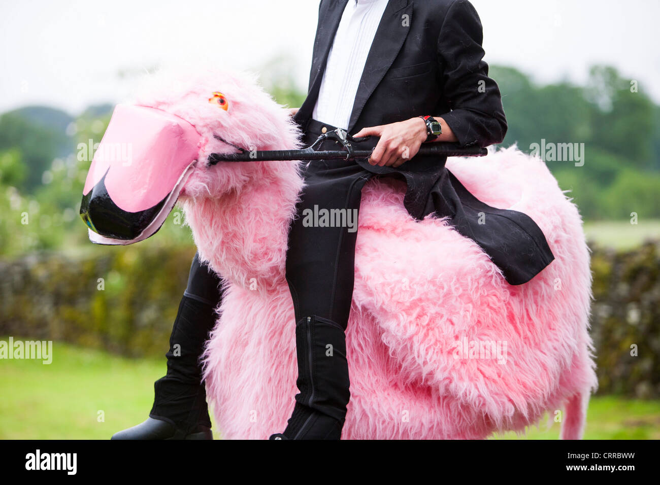 Entertainers wearing pink flamingo costumes at the Ambleside olympic ...