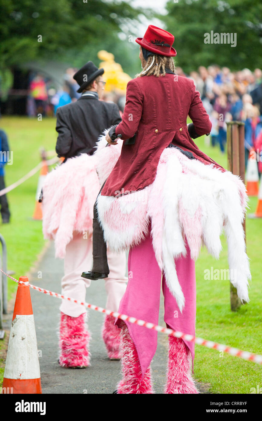 Entertainers wearing pink flamingo costumes at the Ambleside olympic ...