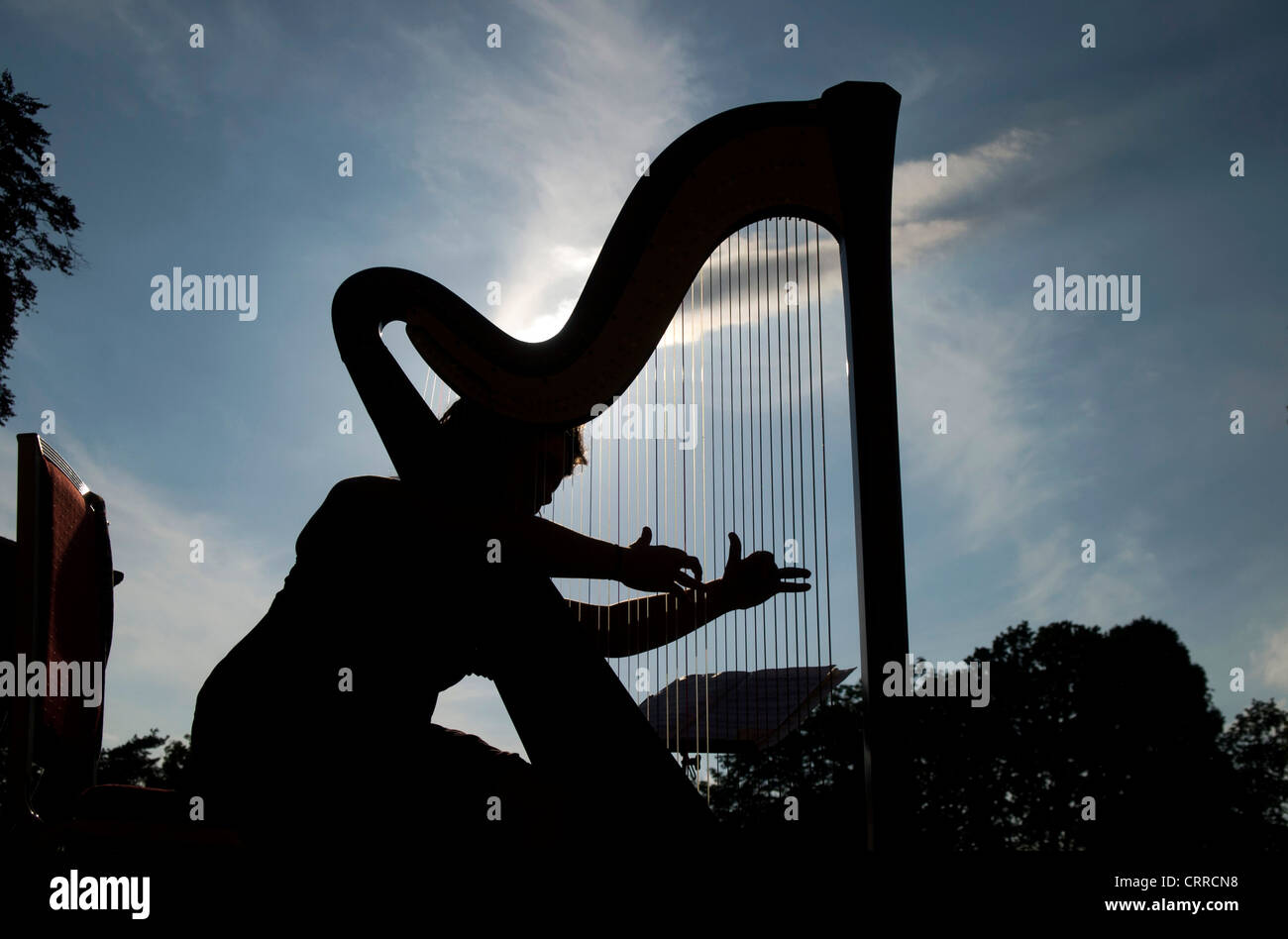 Harp neck hi-res stock photography and images - Alamy