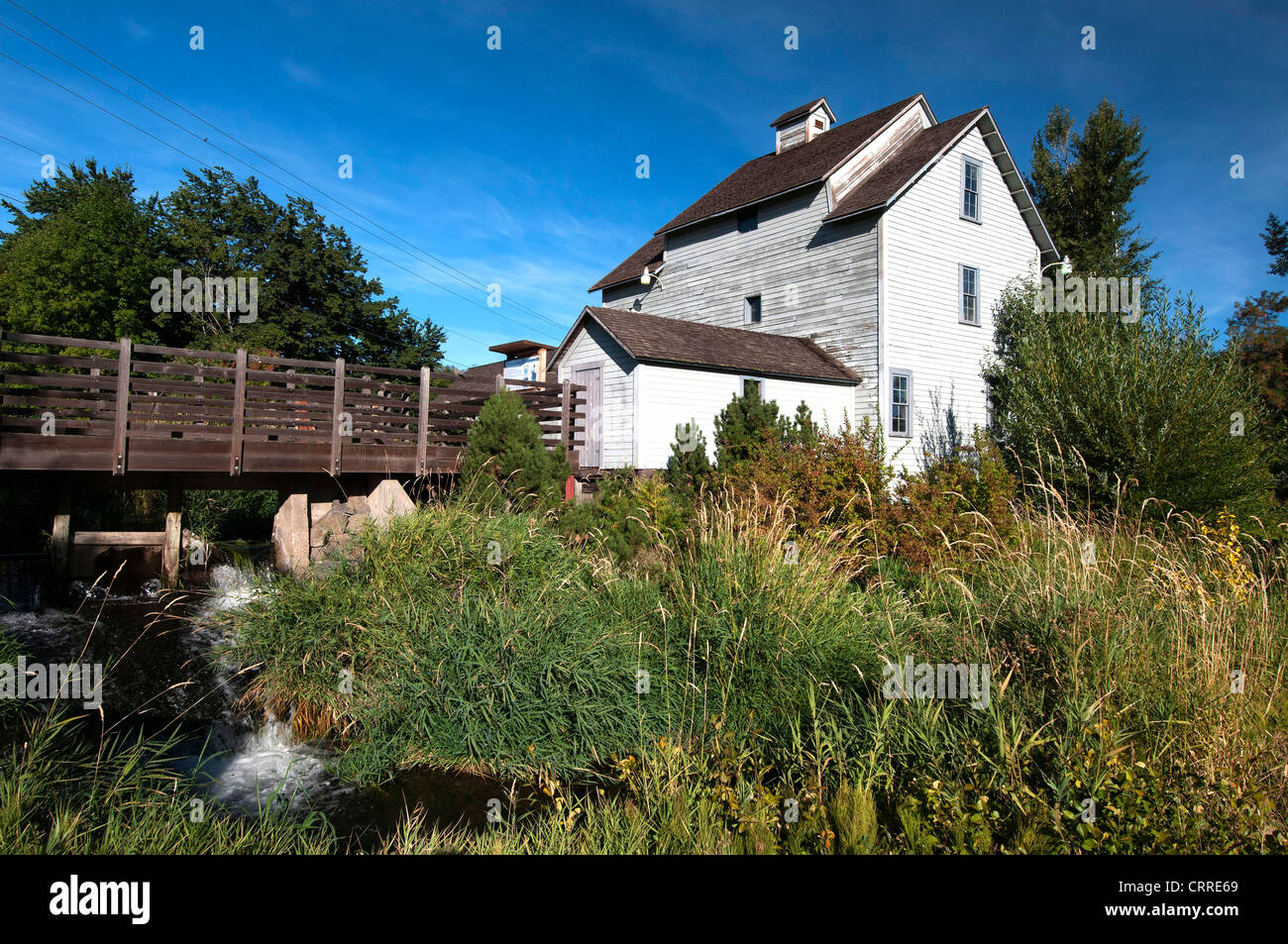 Thorp Wood High Resolution Stock Photography and Images - Alamy