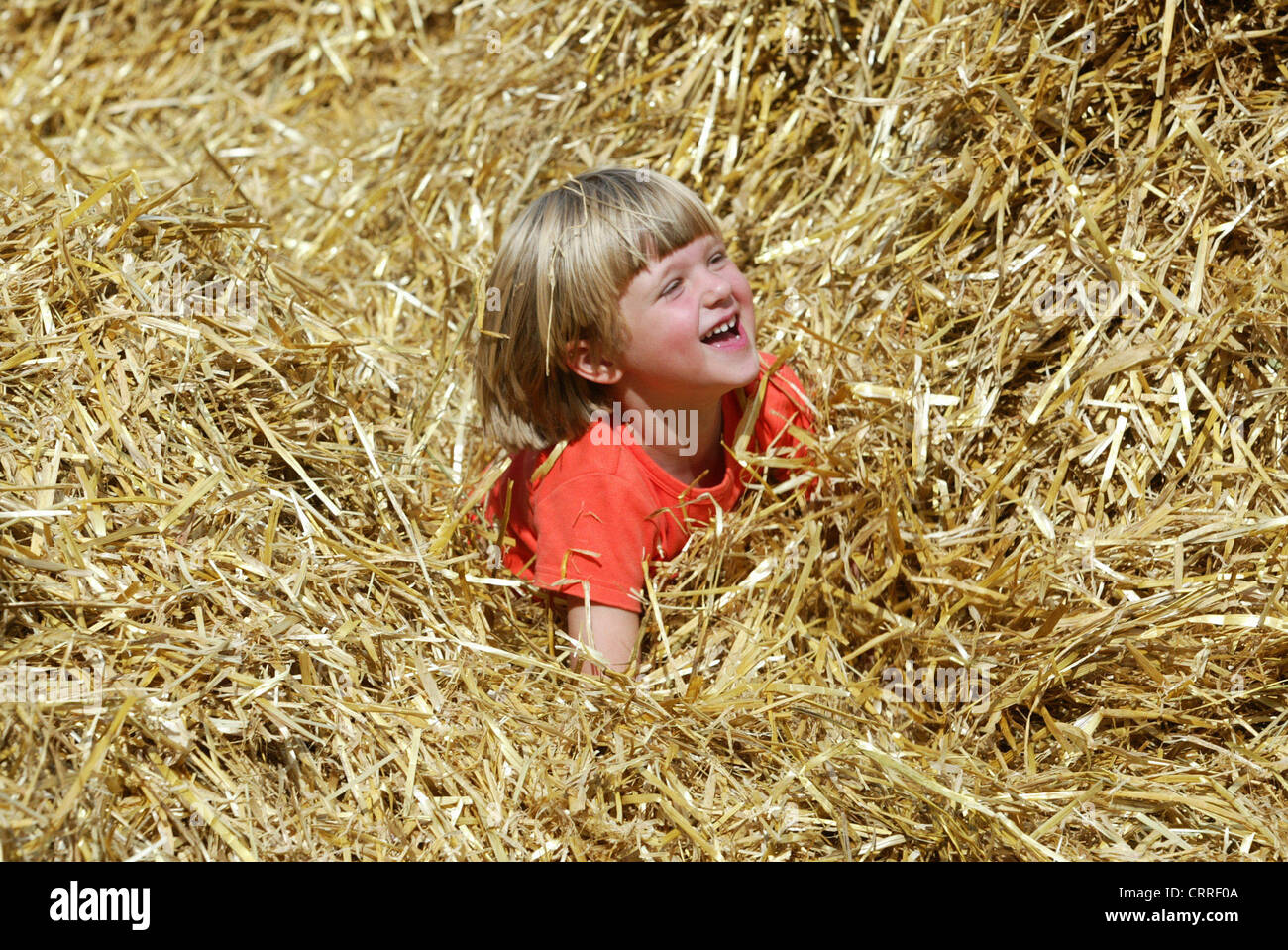 Child playing in the straw Stock Photo - Alamy
