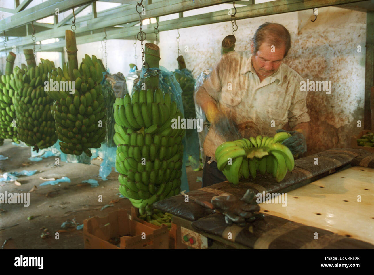 Workers spanish workers hi-res stock photography and images - Alamy