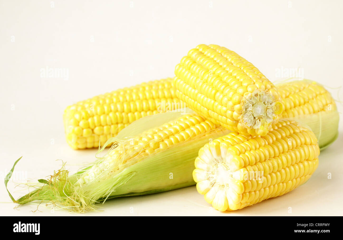 fresh corn vegetable on white background Stock Photo - Alamy