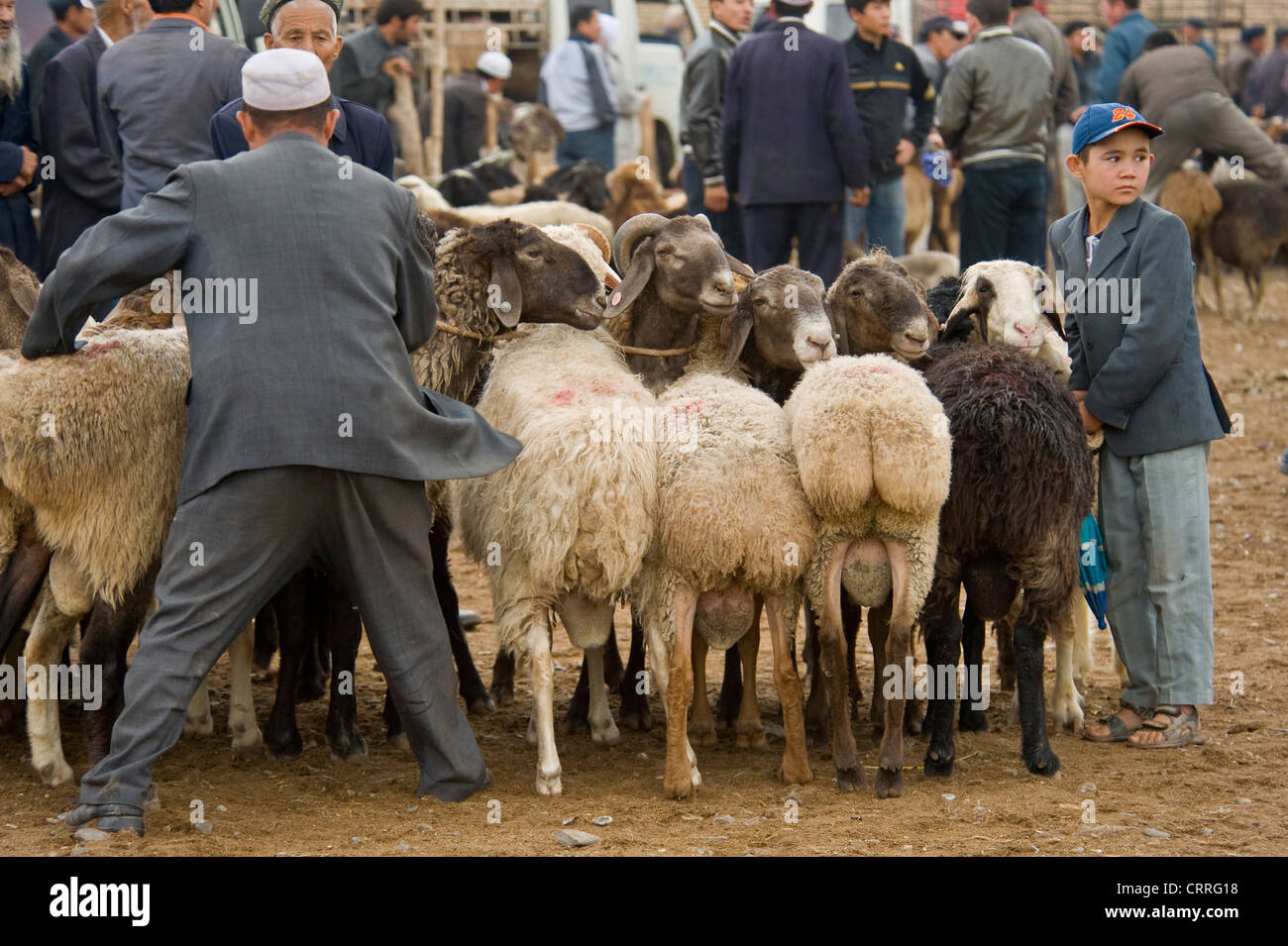 A Uyghur Chinese family unloading their sheep at the Sunday Western ...