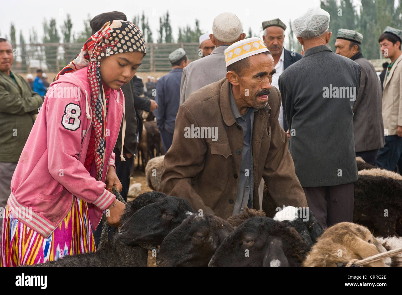 A Uyghur Chinese family unloading their sheep at the Sunday Western ...