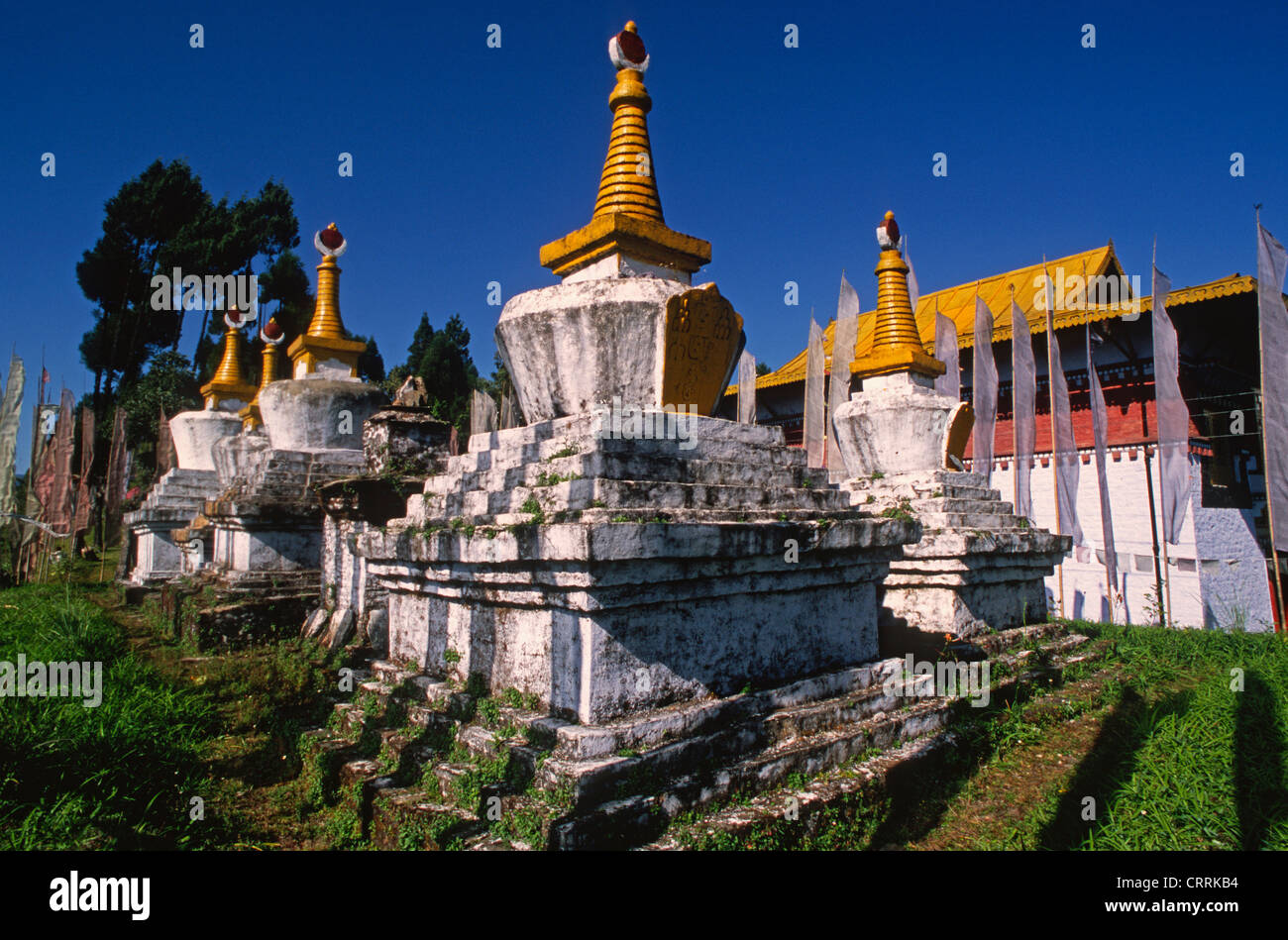 India; Sikkim; Pelling, Sangachoeling Gompa, buddhist monastery Stock ...