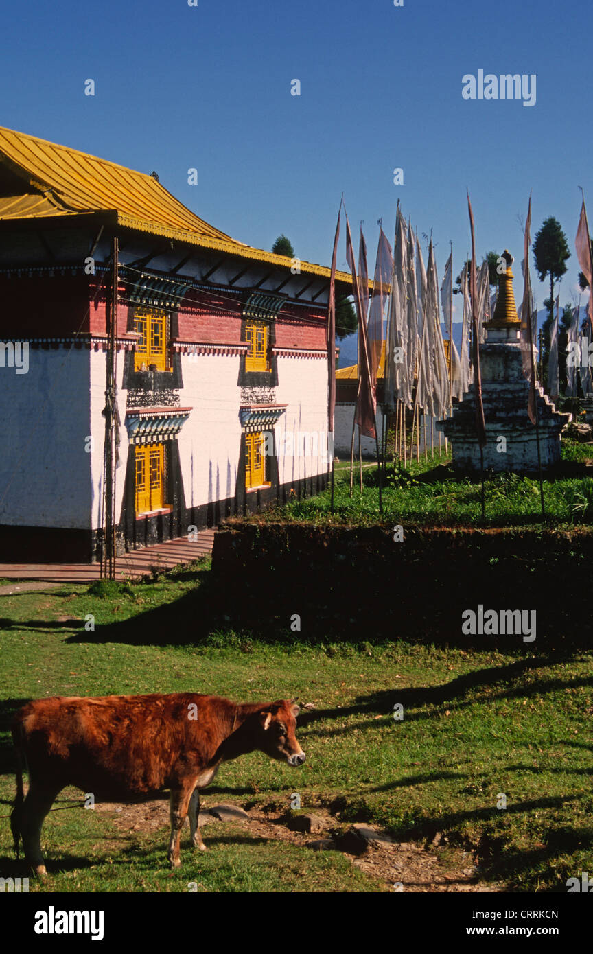 India; Sikkim; Pelling, Sangachoeling Gompa, buddhist monastery Stock ...