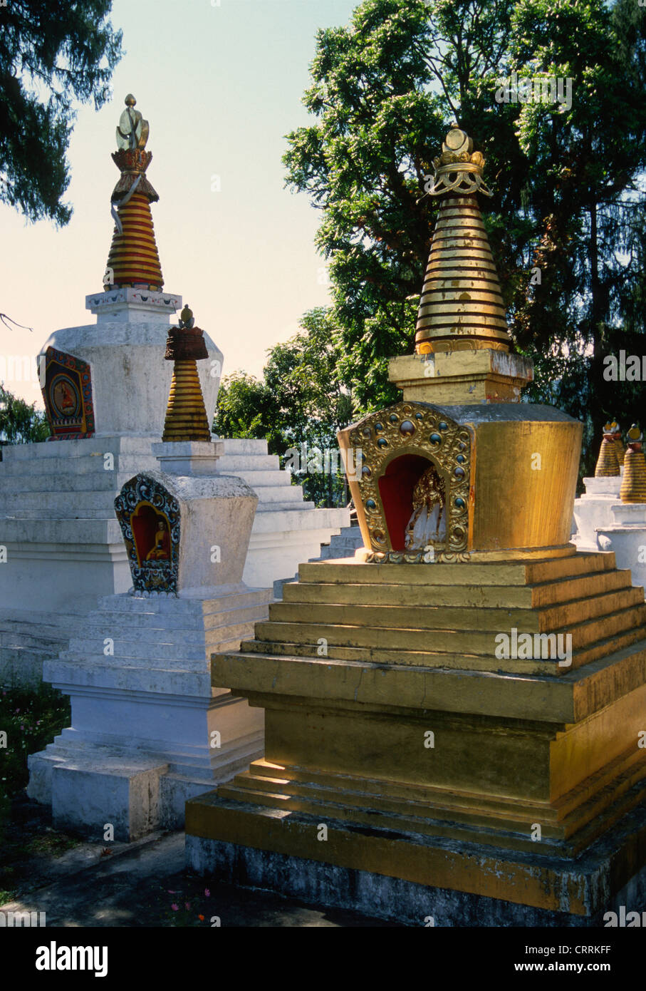 Chortens tashiding monastery hi-res stock photography and images - Alamy
