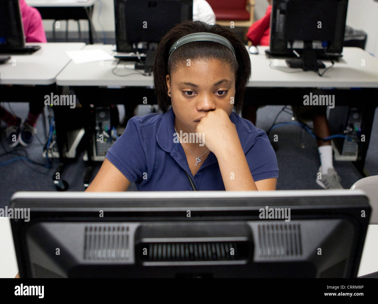 American lab hi-res stock photography and images - Alamy