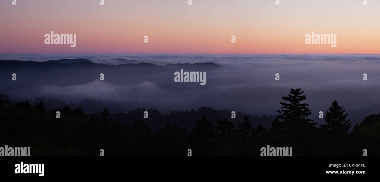 Santa cruz mountains hi-res stock photography and images - Alamy