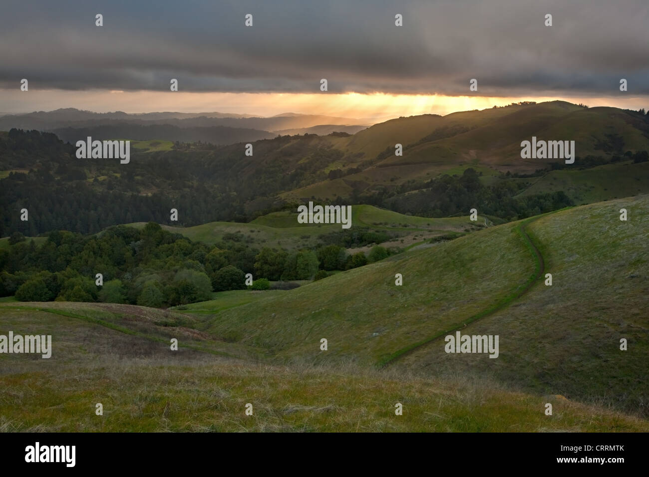Russian Ridge High Resolution Stock Photography and Images - Alamy