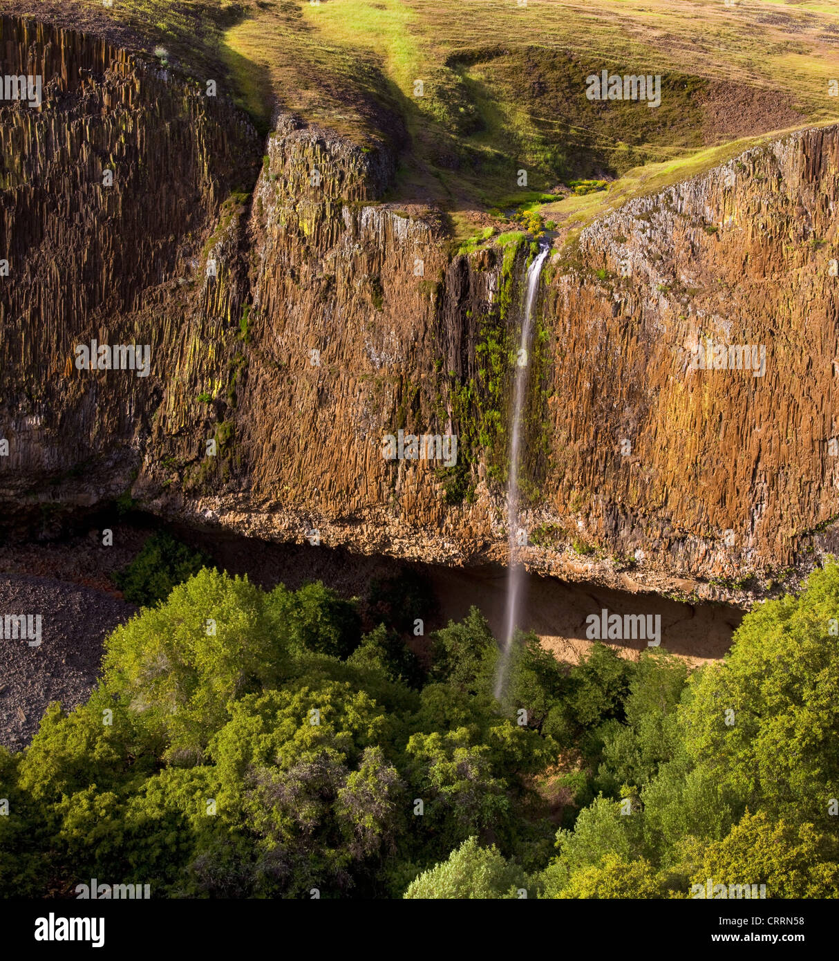 Dramatic waterfall cascades over majestic cliffs at sunset, with forest ...