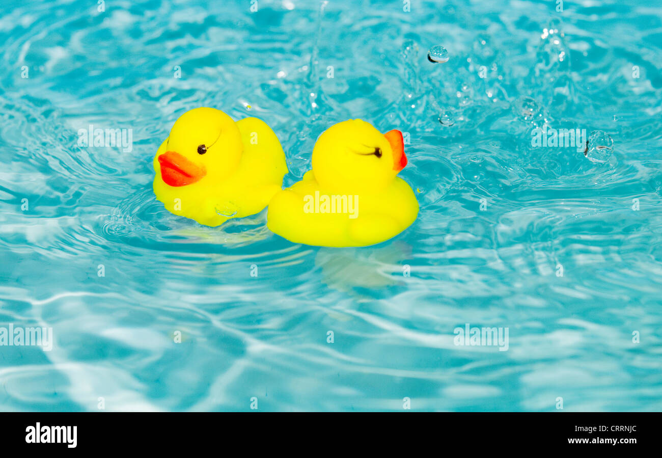 two rubber ducklings floating on a water Stock Photo - Alamy