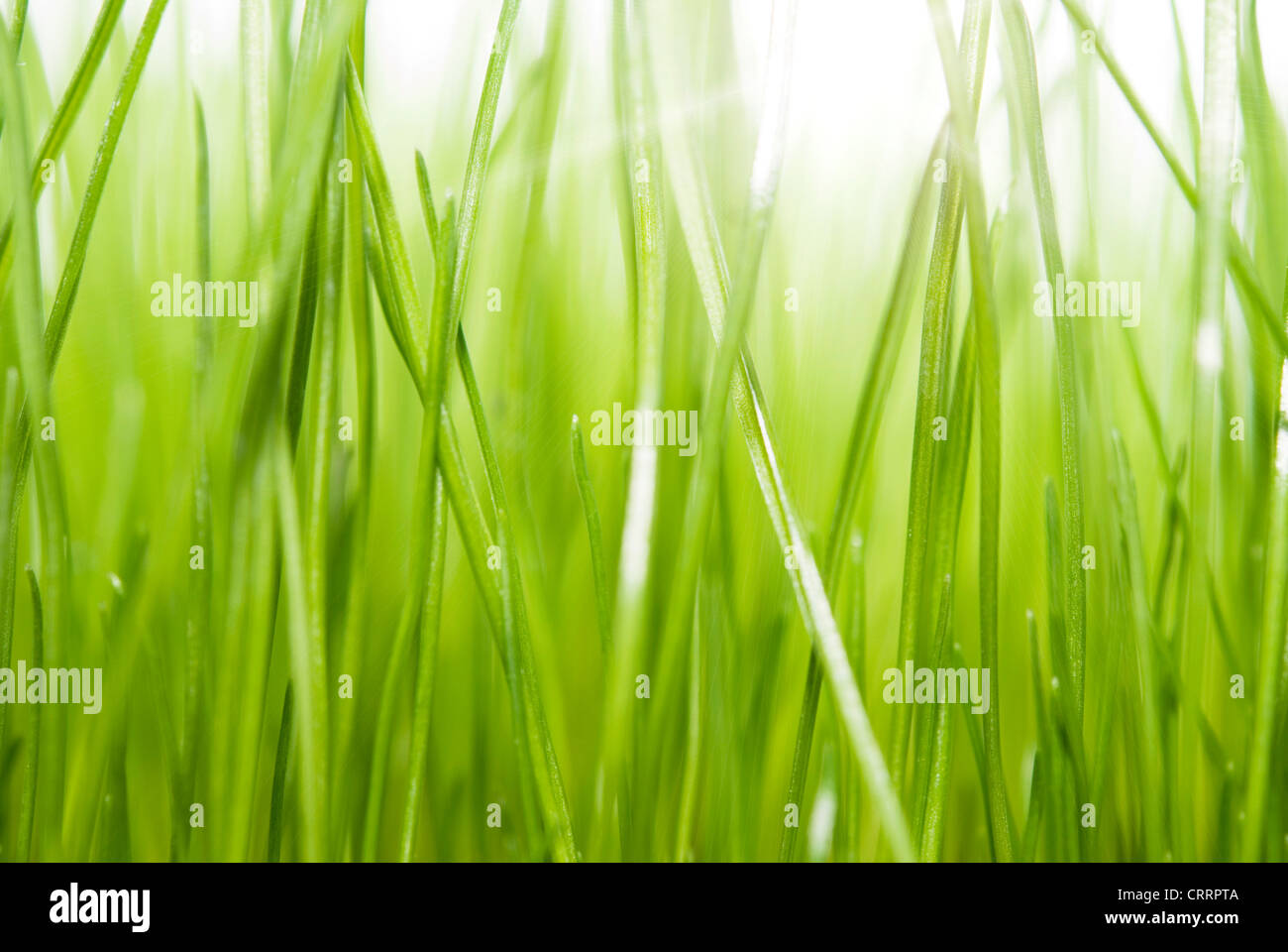 Under sun hi-res stock photography and images - Alamy