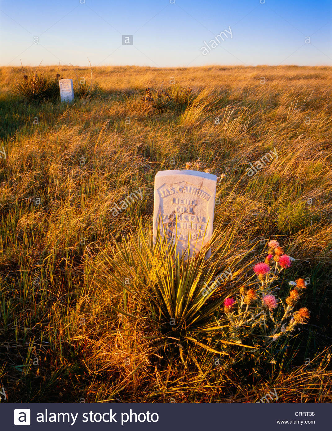 Diophantus Or His Grave High Resolution Stock Photography and Images ...