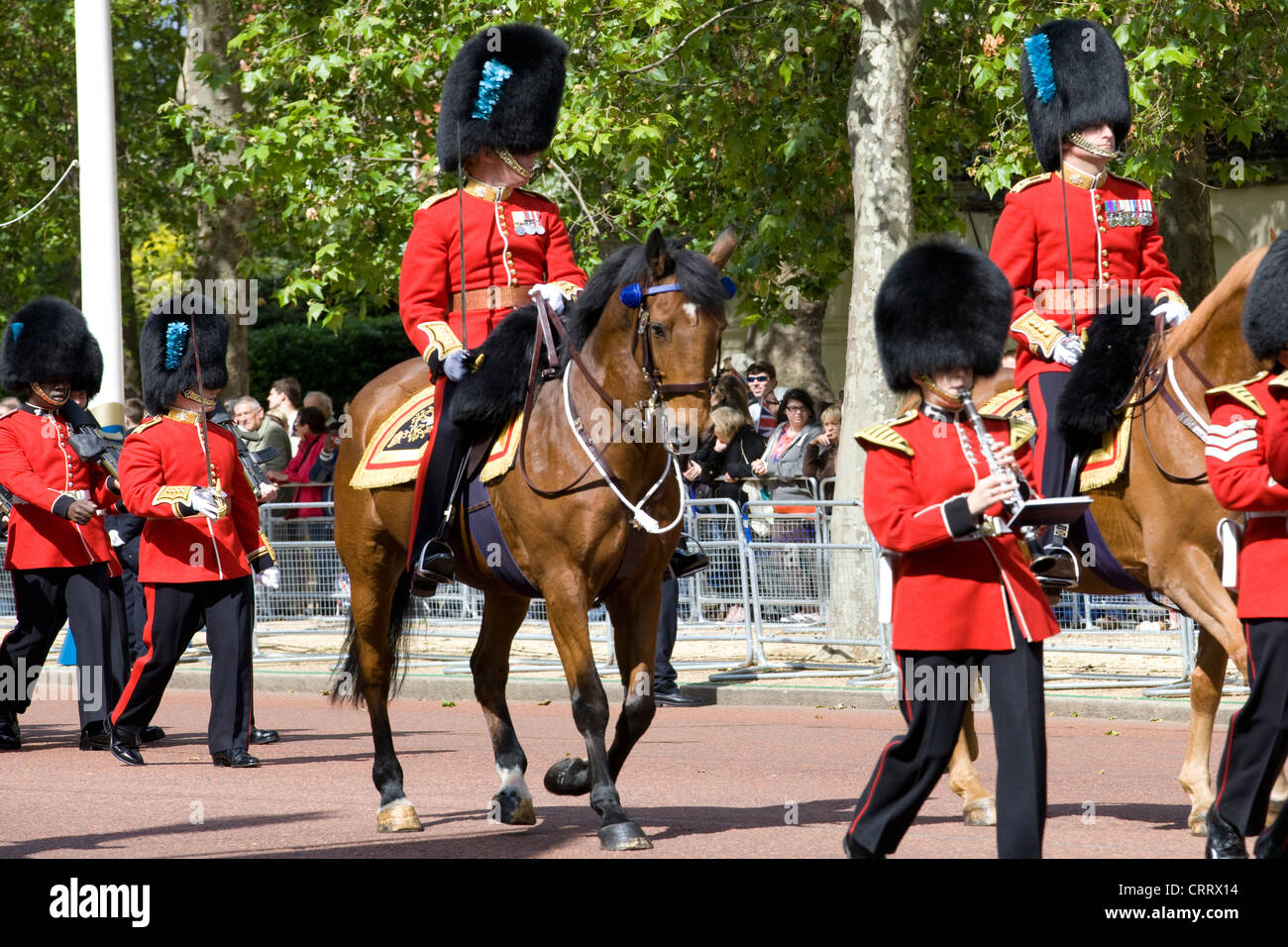1st battalion Irish guards officer on horseback in the Mall for ...