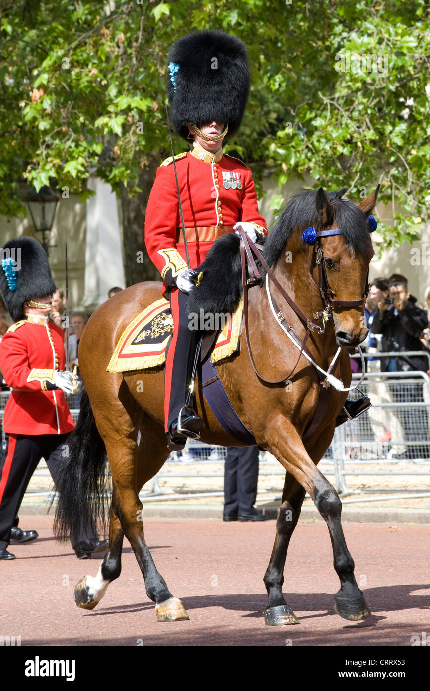 Guardsmen of 1st battalion the irish guards with irish guards hi-res ...