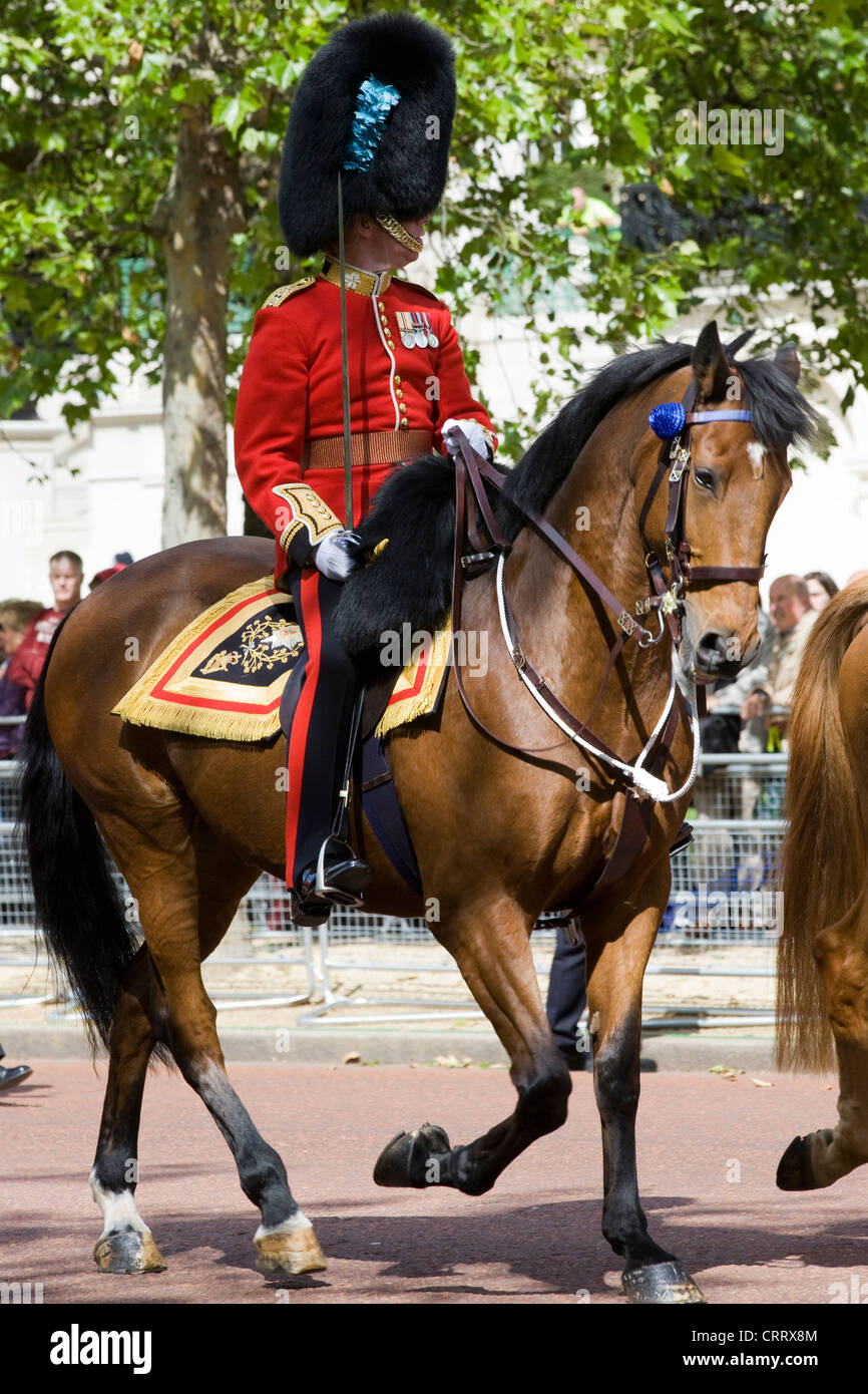 Irish guards officer hi-res stock photography and images - Alamy