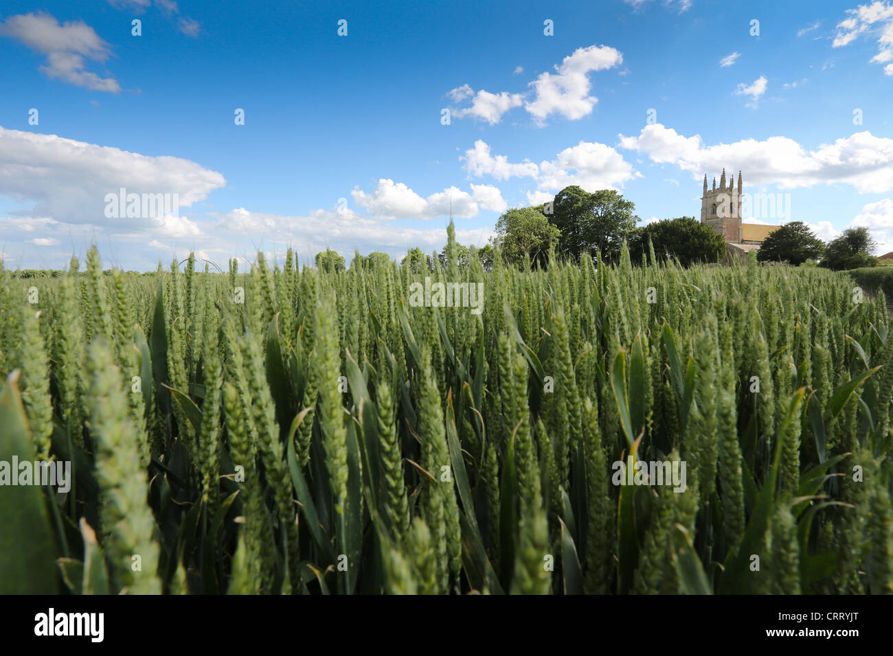 Sempringham Abbey Church,Sempringham, Lincolnshire,enforced home of ...