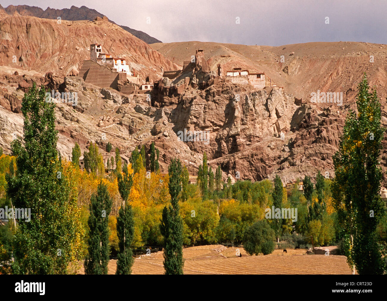 India, Ladakh, Basgo Gompa, buddhist monastery Stock Photo - Alamy