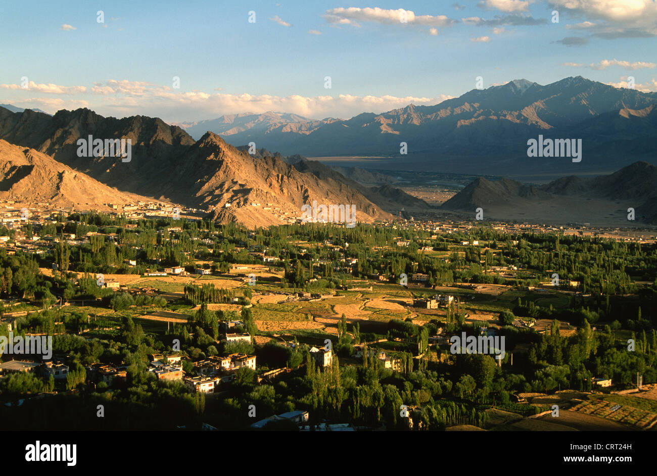 India, Ladakh, Leh Valley Stock Photo - Alamy