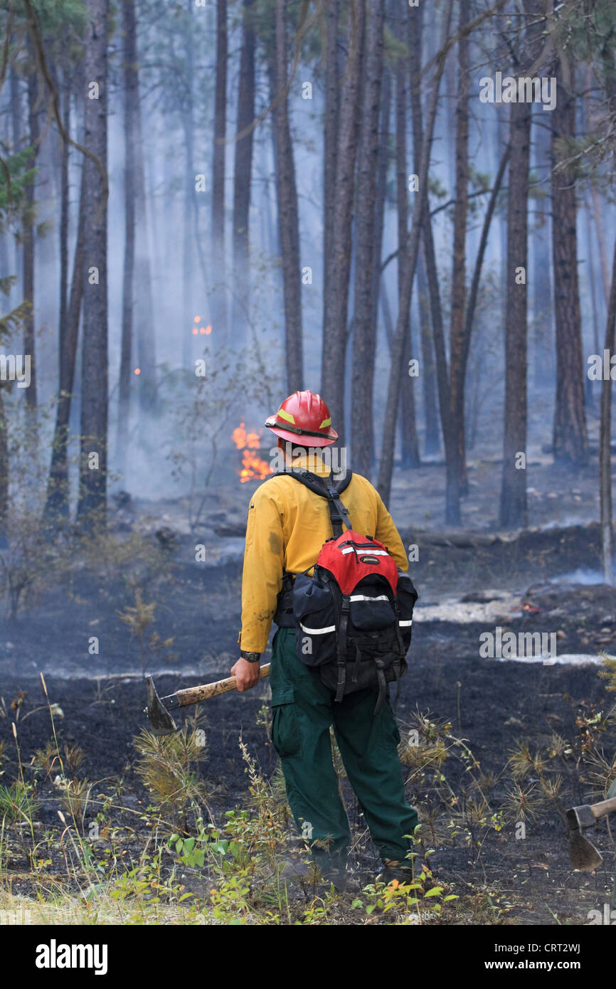 A U.S. Forest Service fire crew member fights a forest fire near Bonner ...