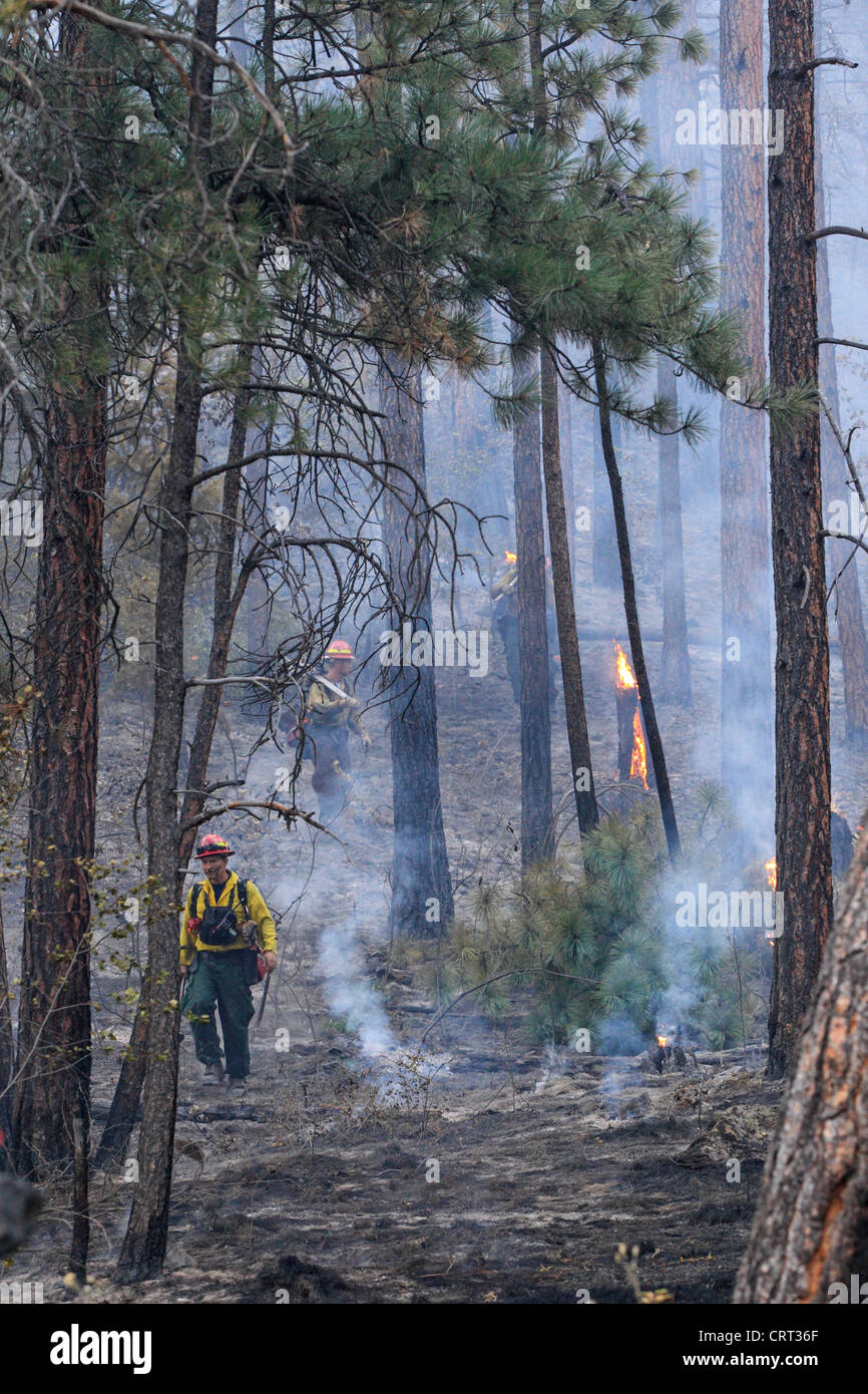 U.S. Forest Service fire crew members fight a forest fire near Bonner ...