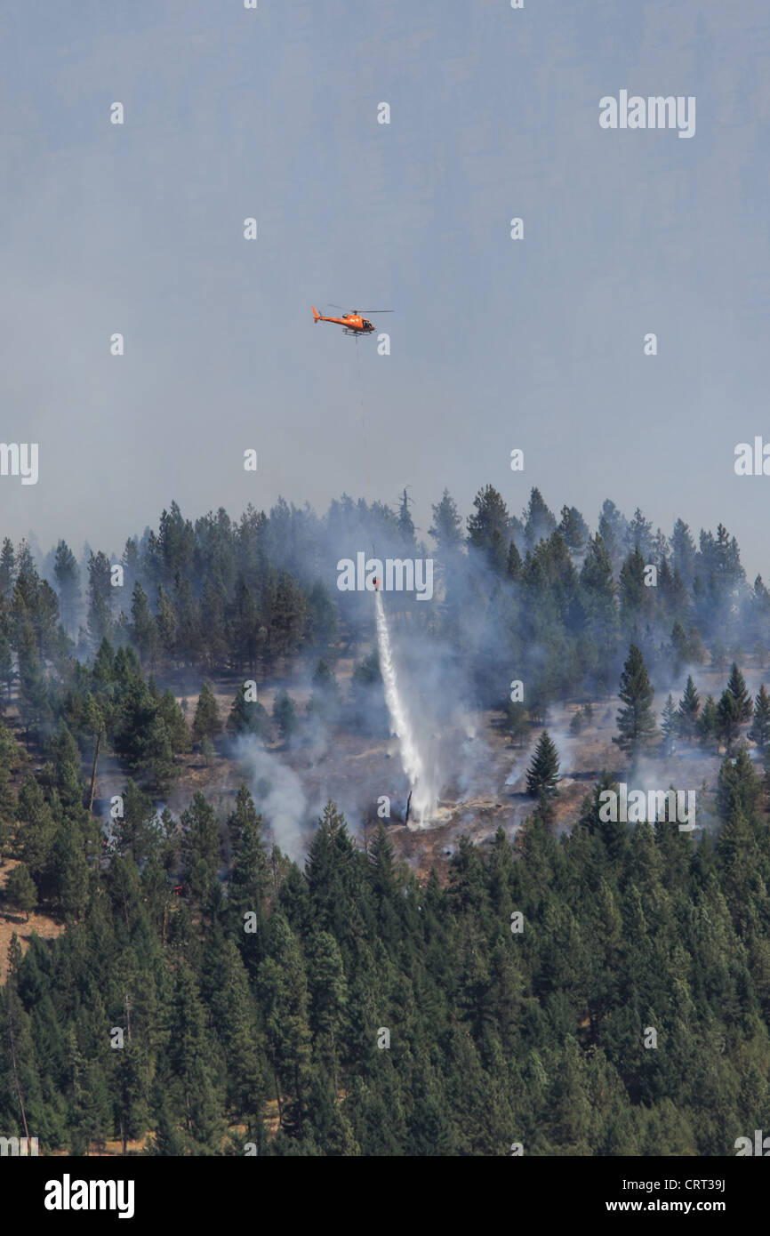 A U.S. Forest Service helicopter drops water on a forest fire near ...