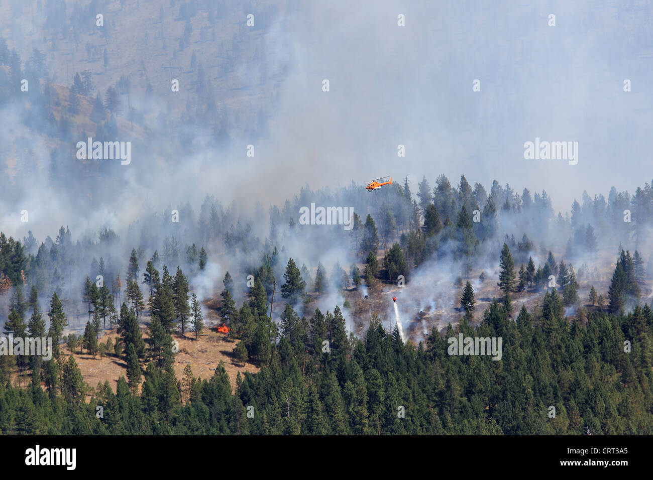 A U.S. Forest Service helicopter drops water on a forest fire near ...