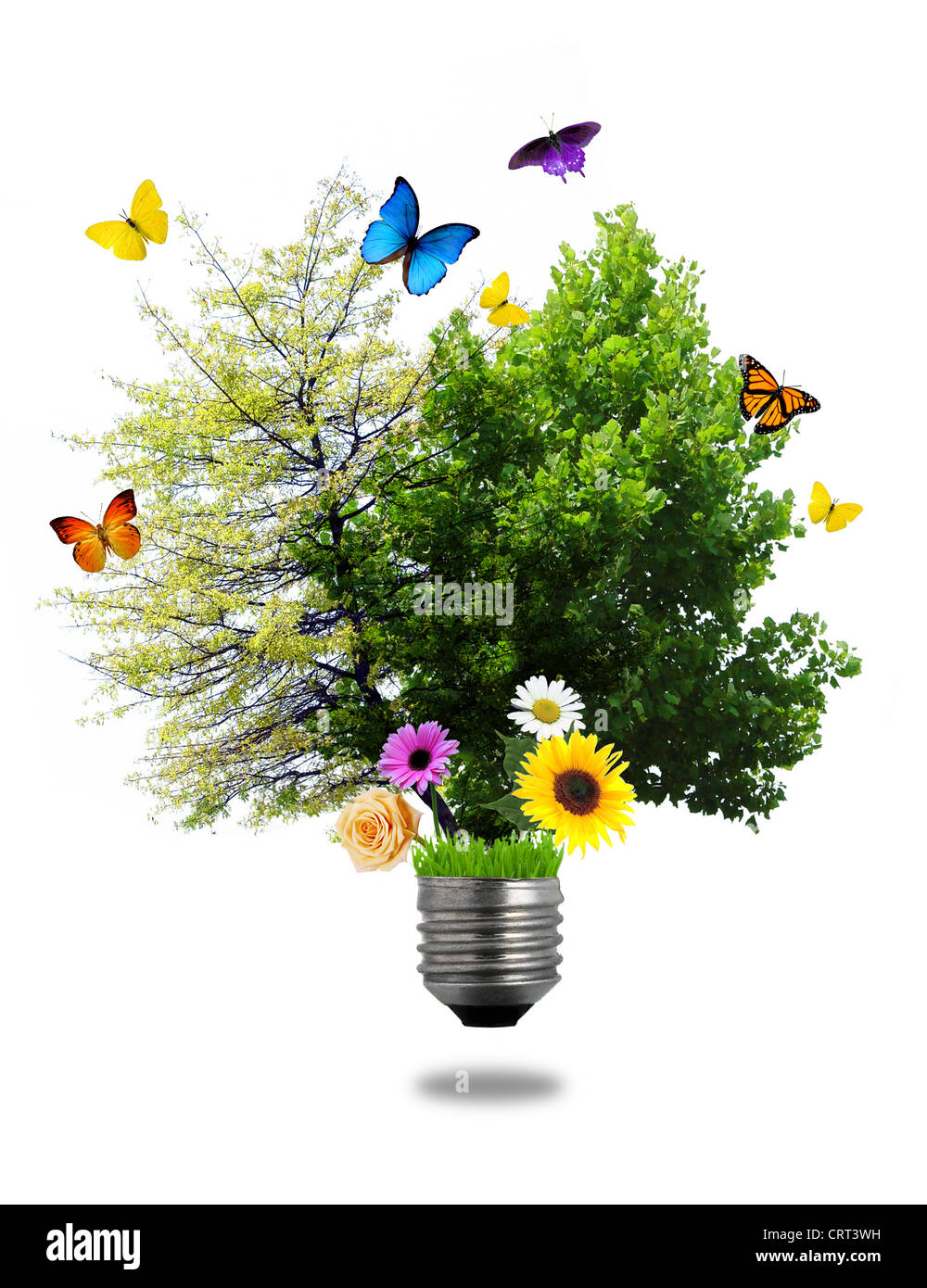Environmental energy concept Stock Photo - Alamy