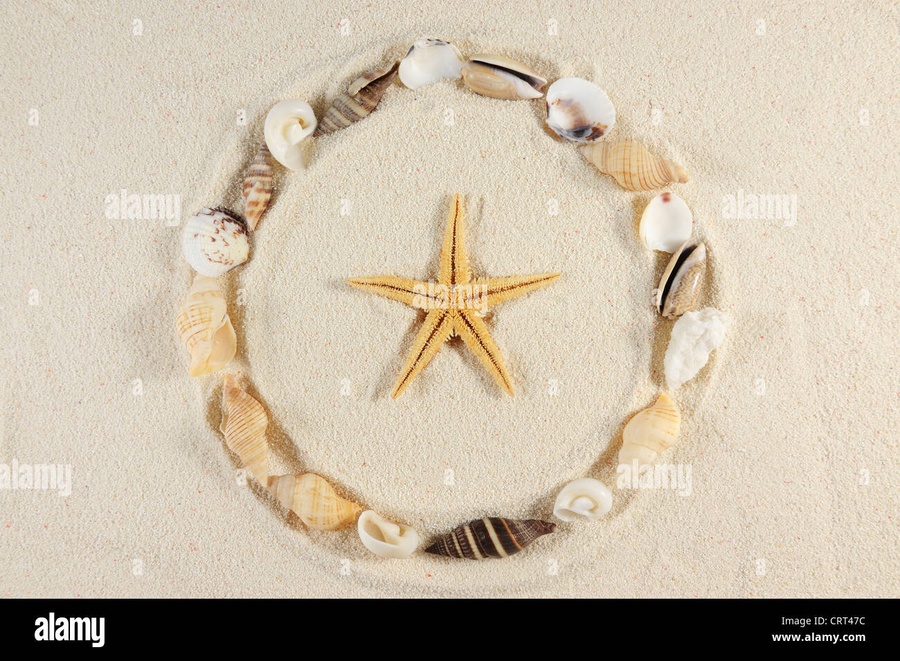 Seashell circle hi-res stock photography and images - Alamy