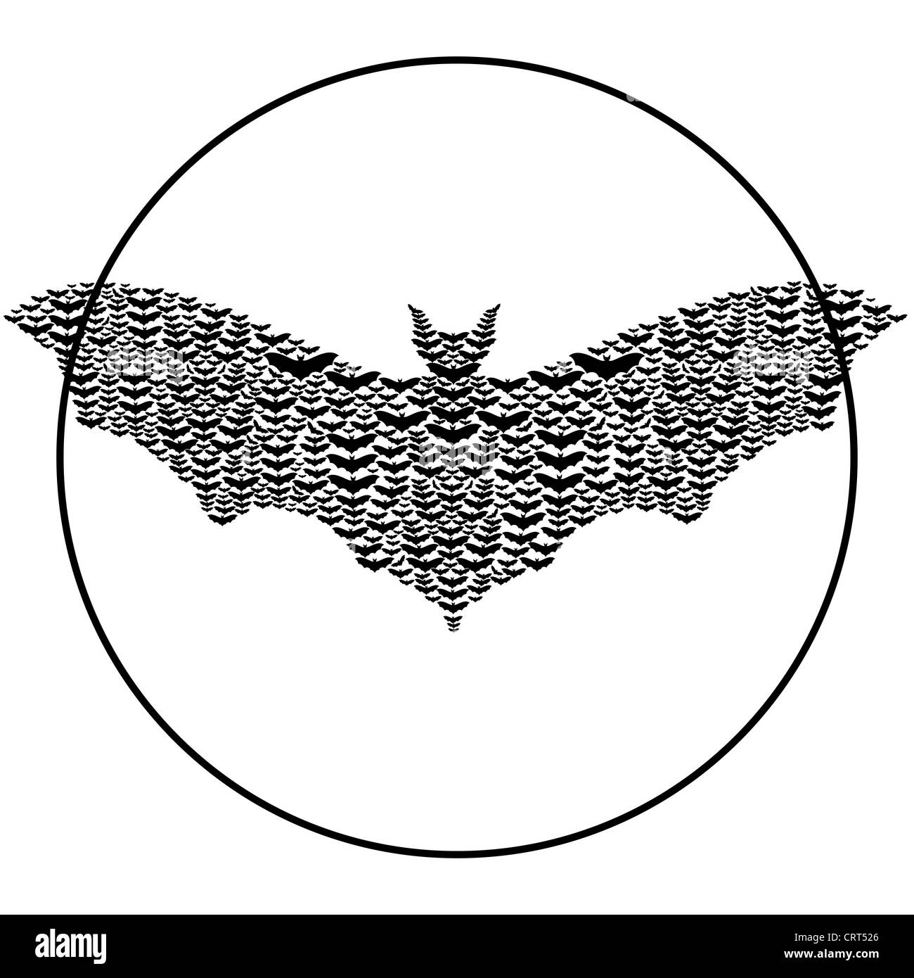 Bat rodent Cut Out Stock Images & Pictures - Alamy