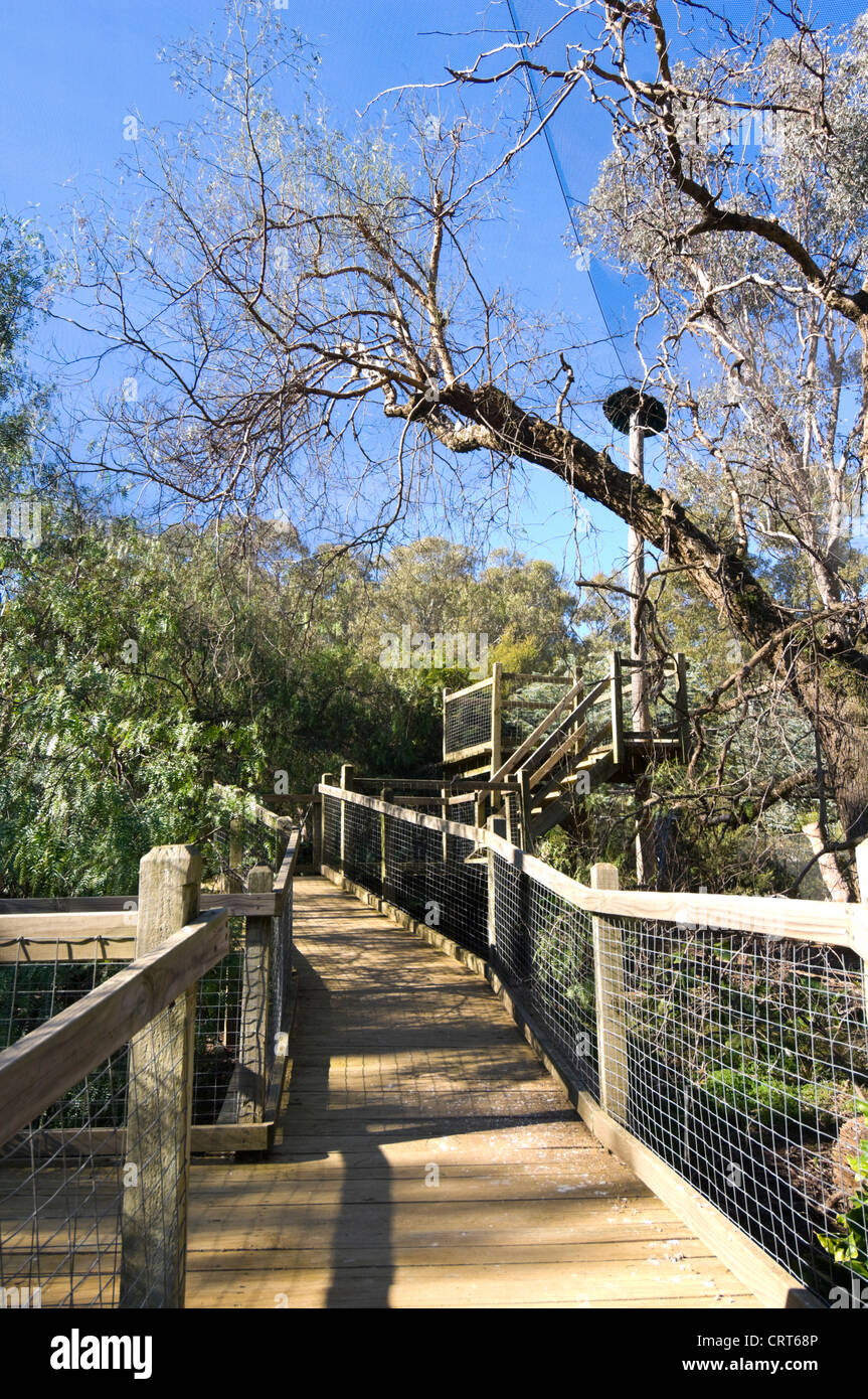 Walk-through Aviary, Botanic Gardens, Wagga-Wagga, New South Wales ...