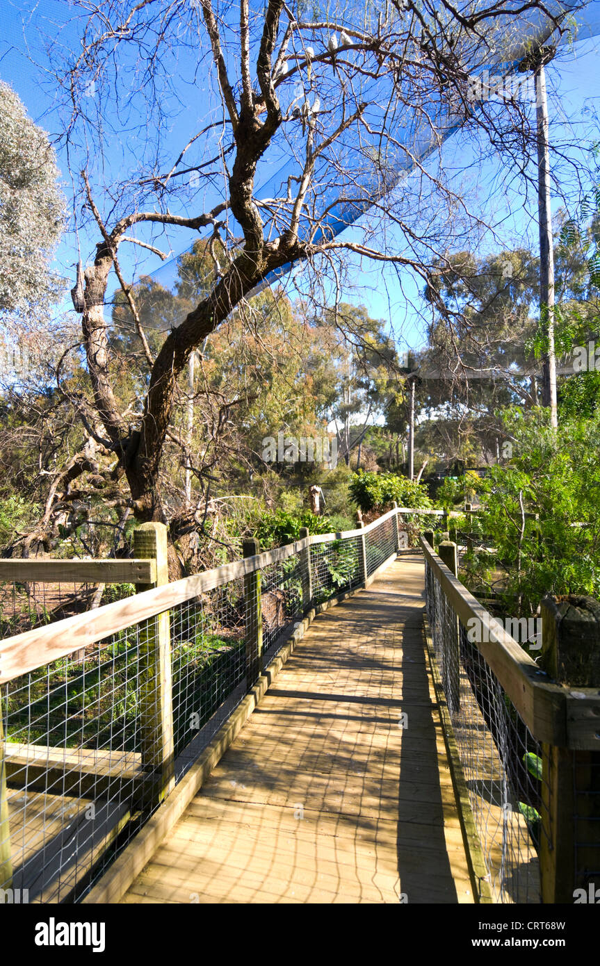 Walk-through Aviary, Botanic Gardens, Wagga-Wagga, New South Wales ...
