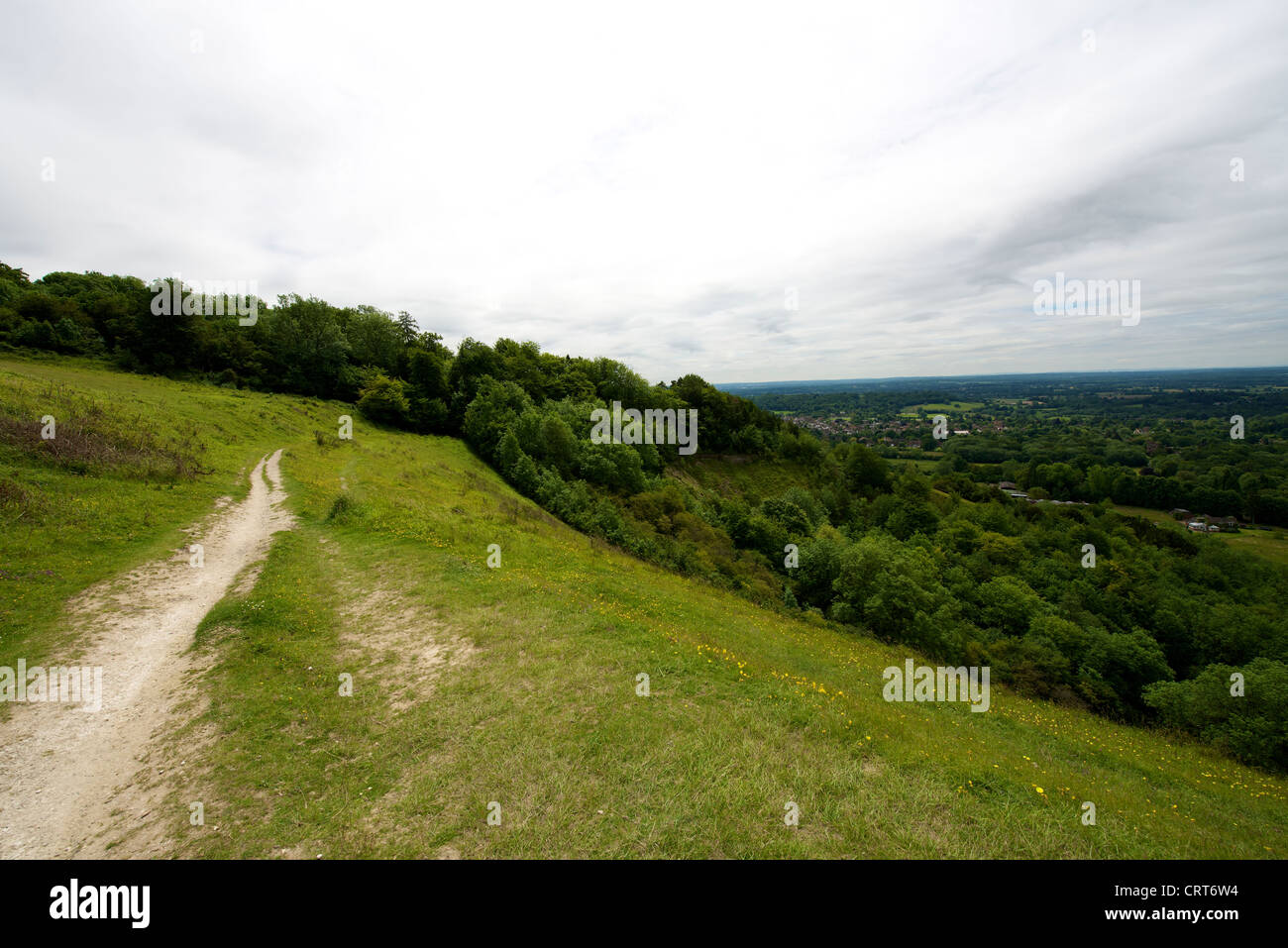 Chalk scarp of Reigate Hill and Colley Hill on the North Downs looking ...